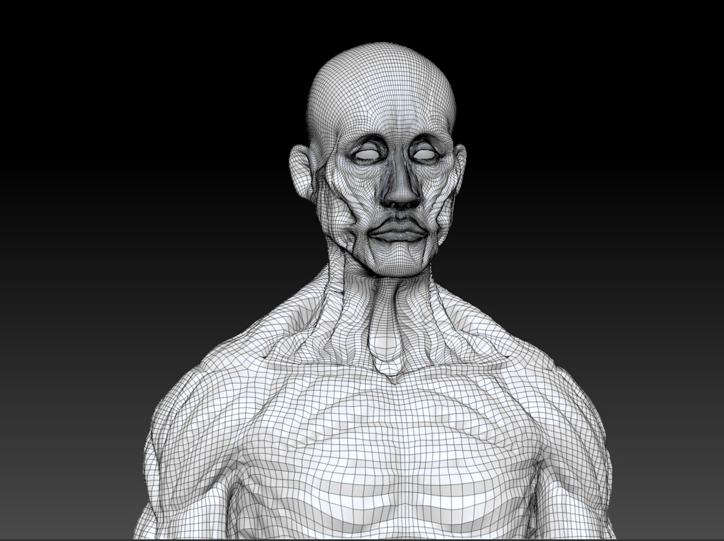 Anatomy Muscles 3d Model