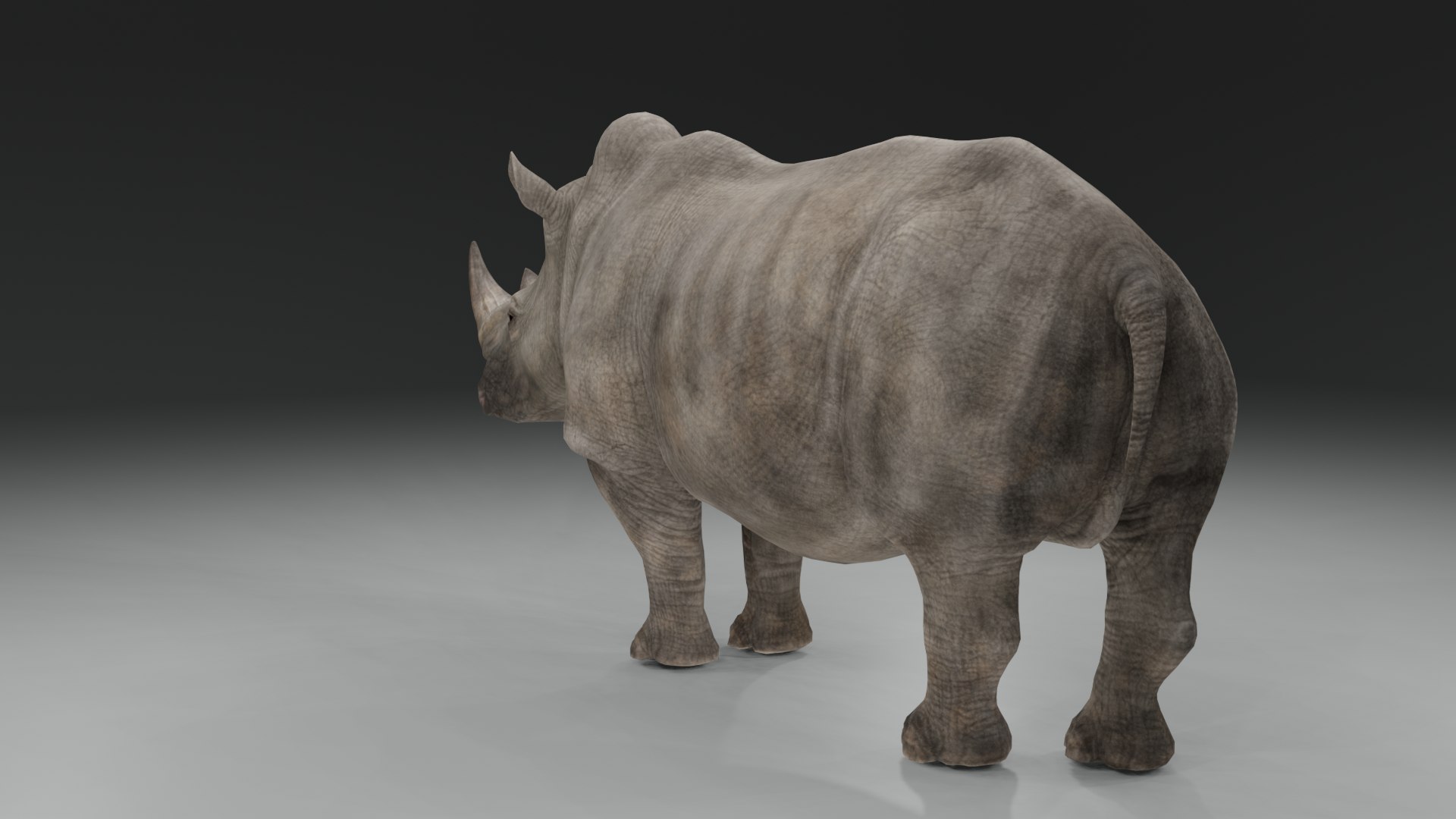 3D model Realistic Rhino 3D model - TurboSquid 2182200