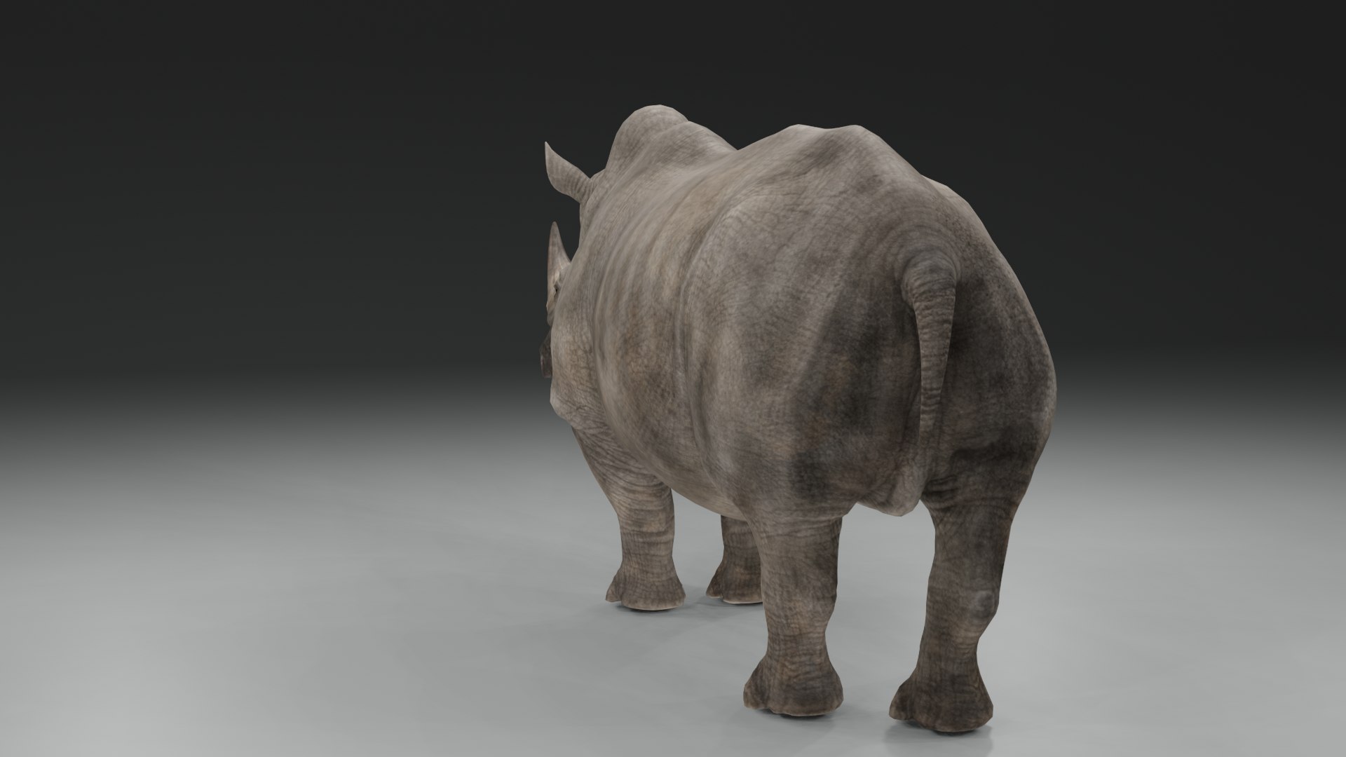 3D model Realistic Rhino 3D model - TurboSquid 2182200