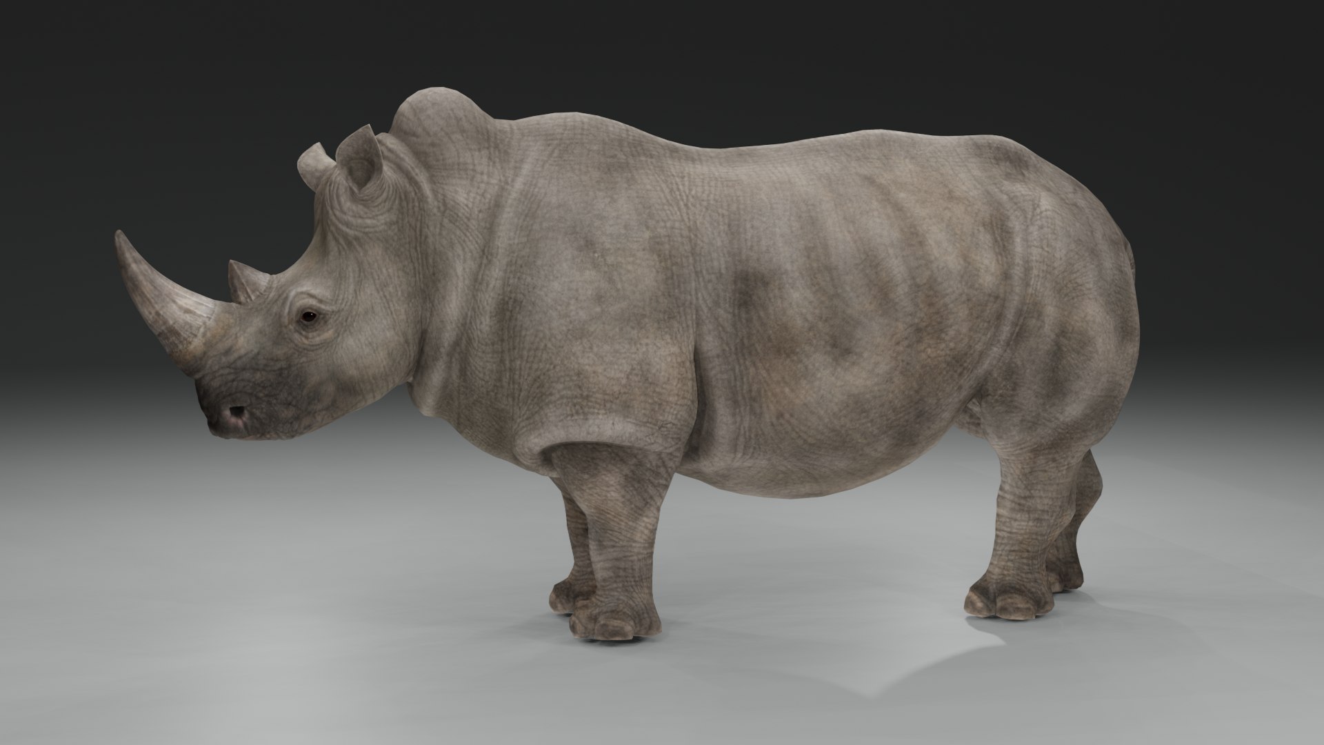 3D model Realistic Rhino 3D model - TurboSquid 2182200