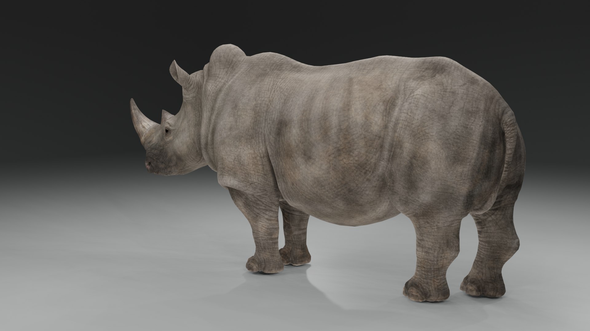 3D model Realistic Rhino 3D model - TurboSquid 2182200