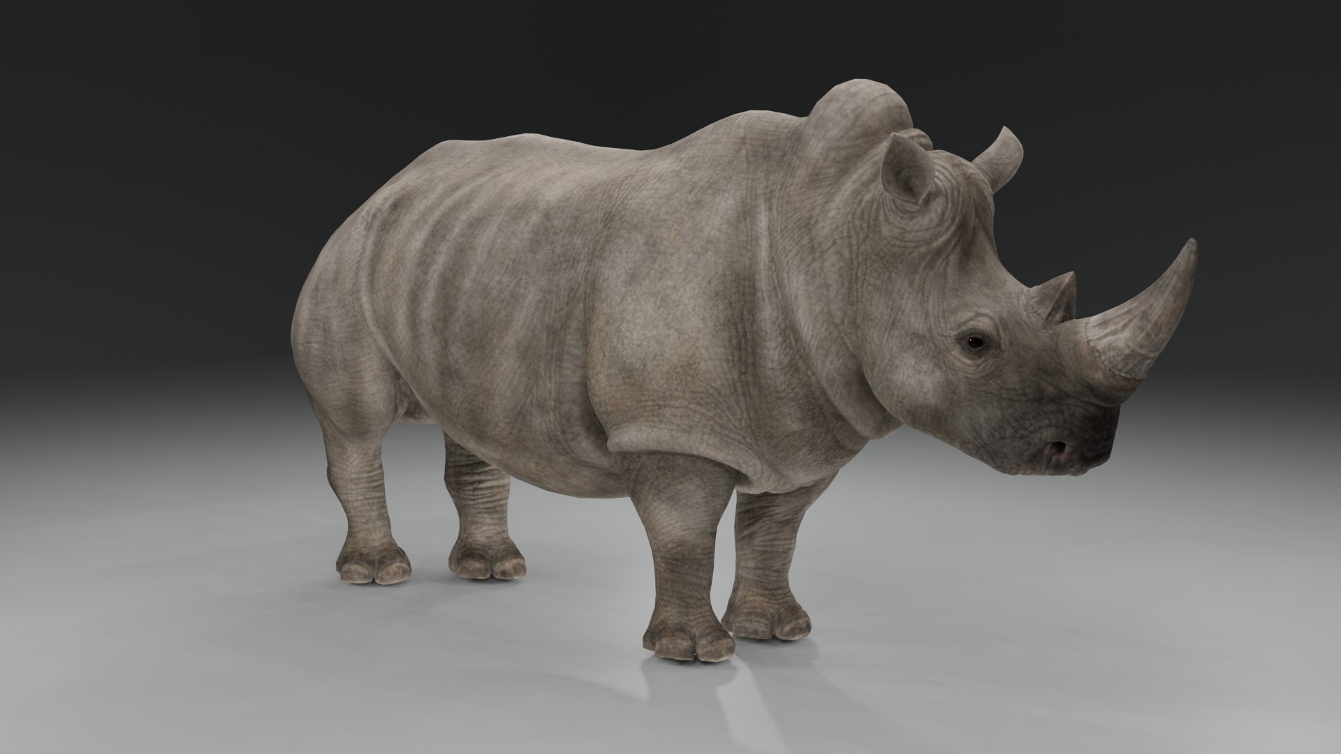 3D model Realistic Rhino 3D model - TurboSquid 2182200