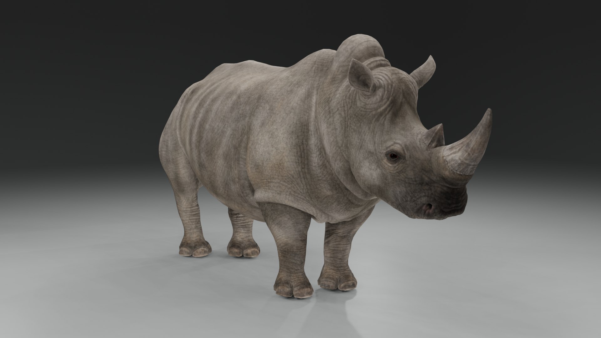 3D model Realistic Rhino 3D model - TurboSquid 2182200