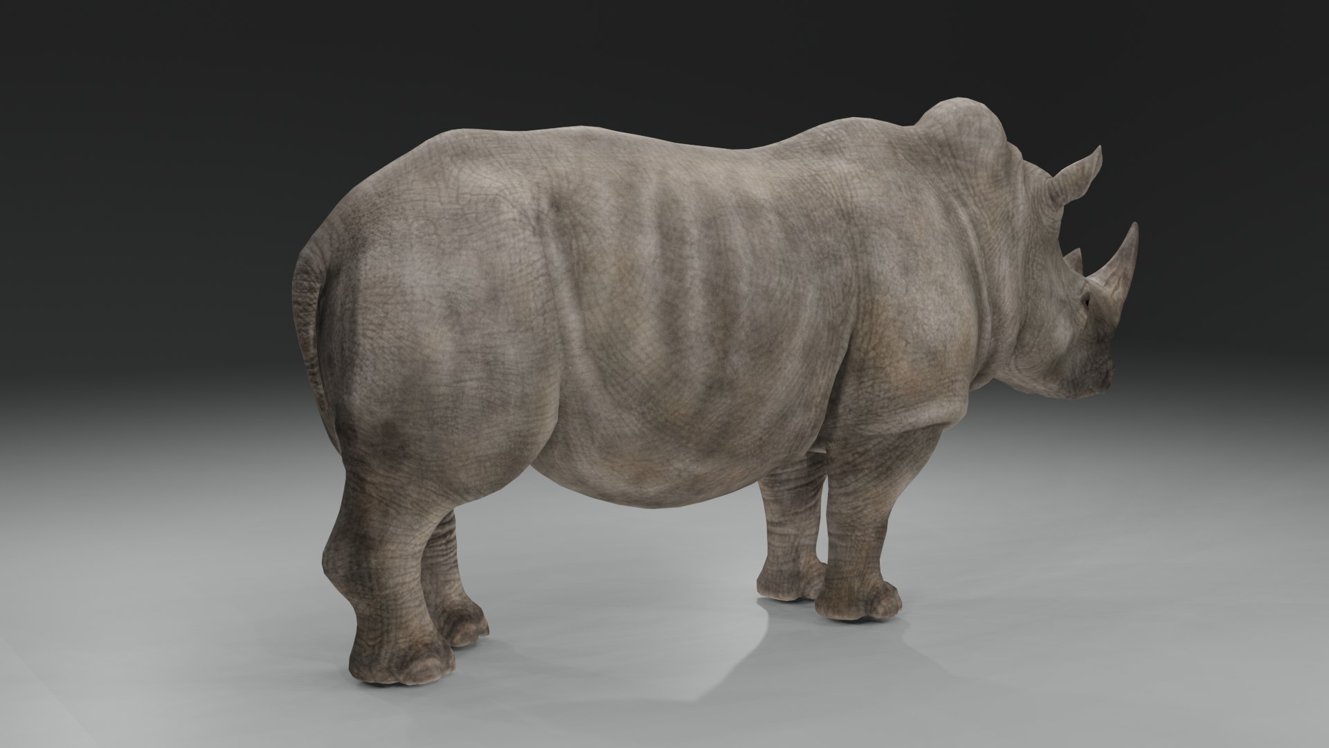 3D model Realistic Rhino 3D model - TurboSquid 2182200