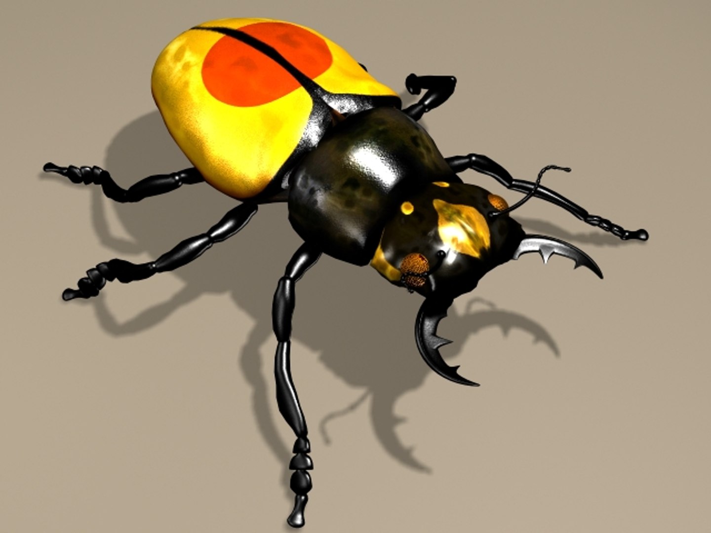 Insect Beetle Max