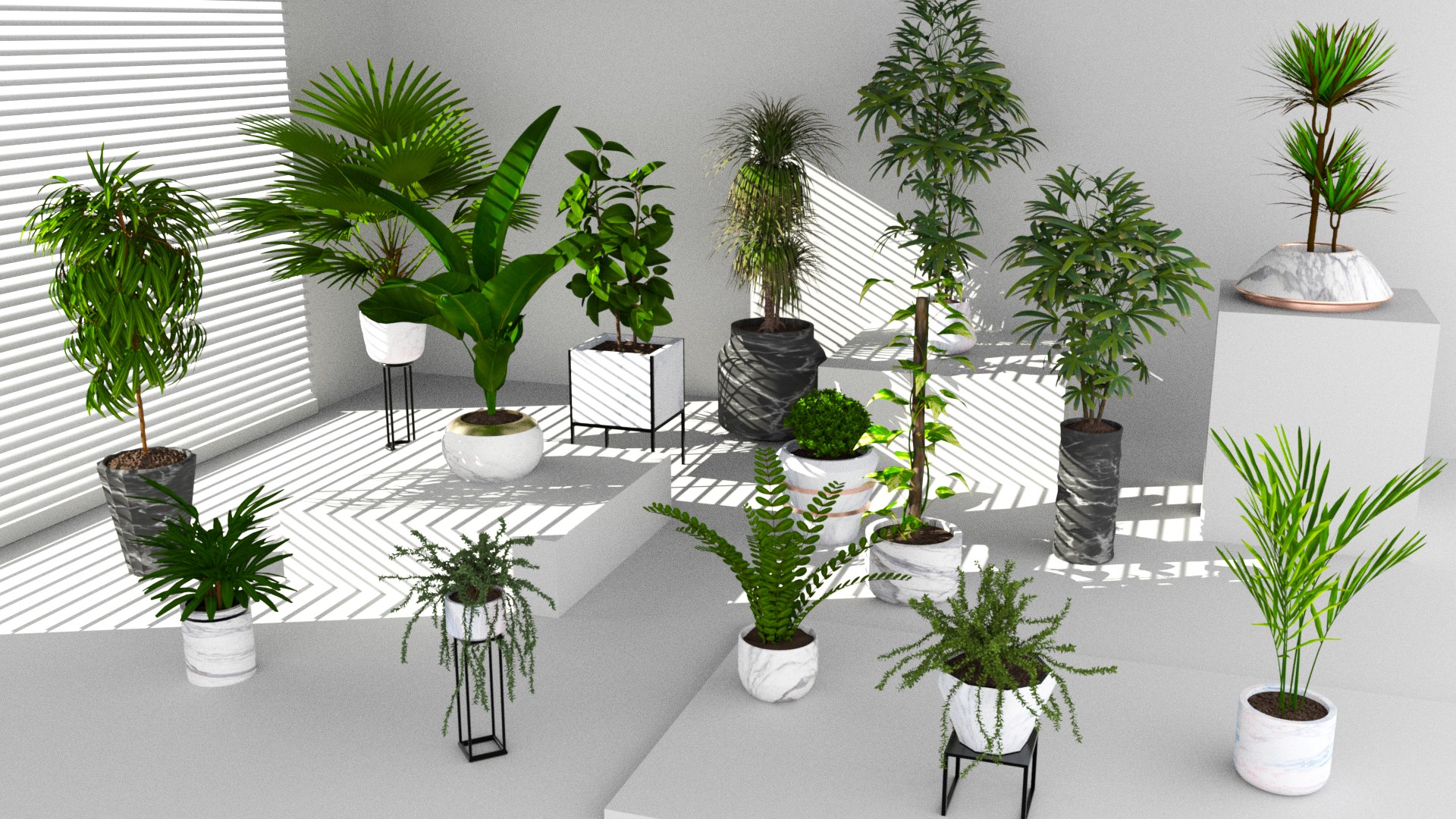 Decorative plant compilation 3D - TurboSquid 1943945