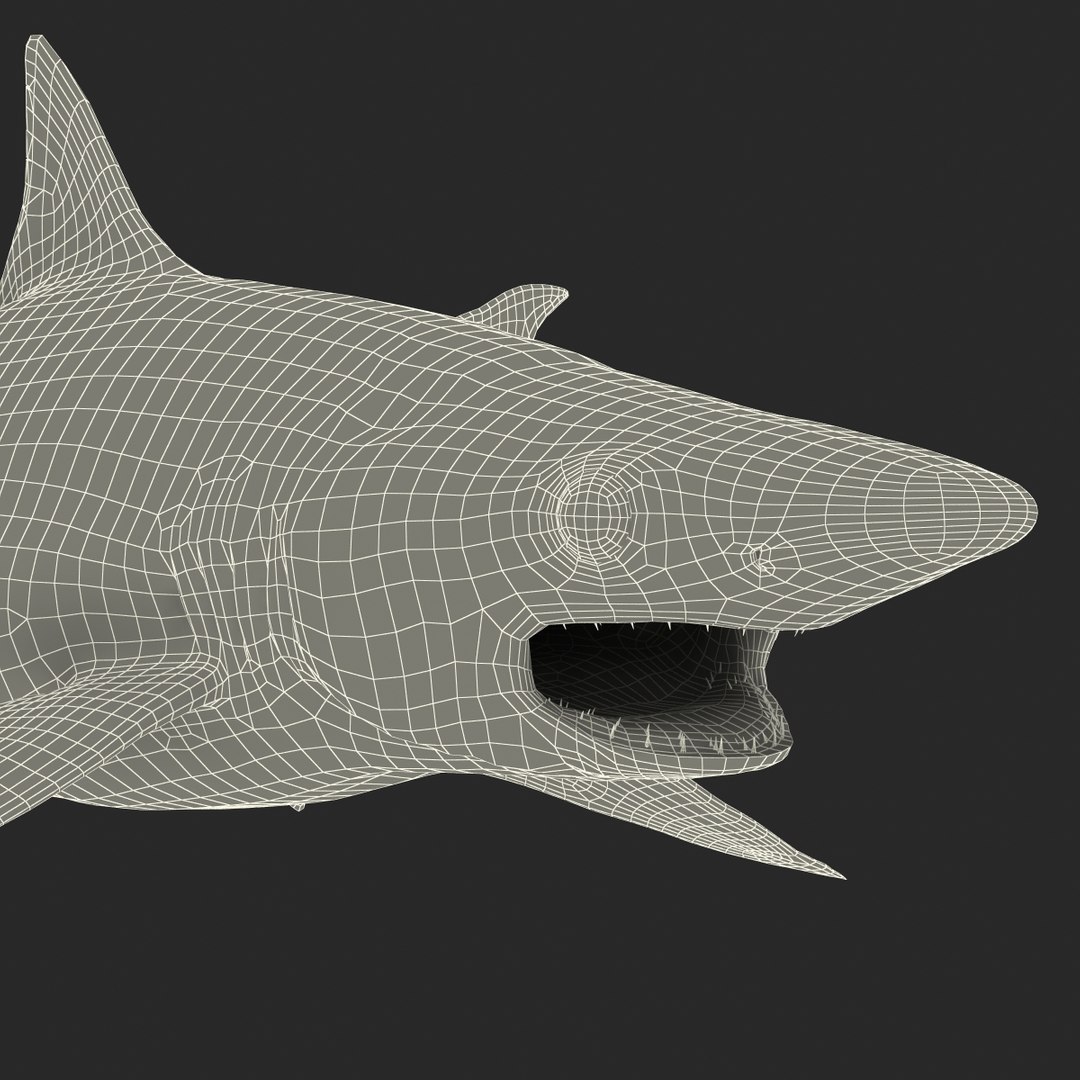 milk shark pose 2 3d model