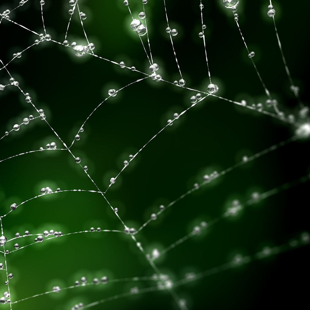 3d Modeled Cobweb Model
