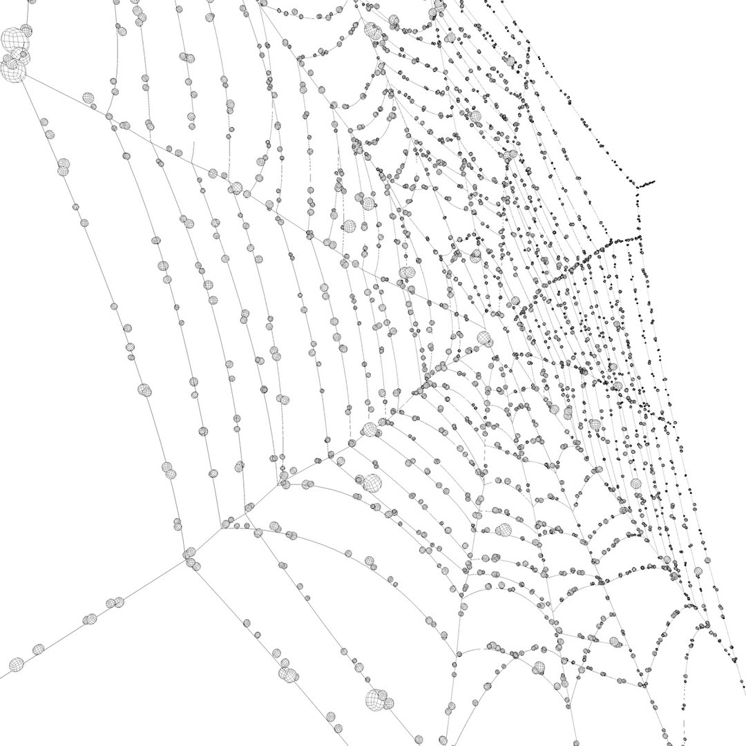3d Modeled Cobweb Model