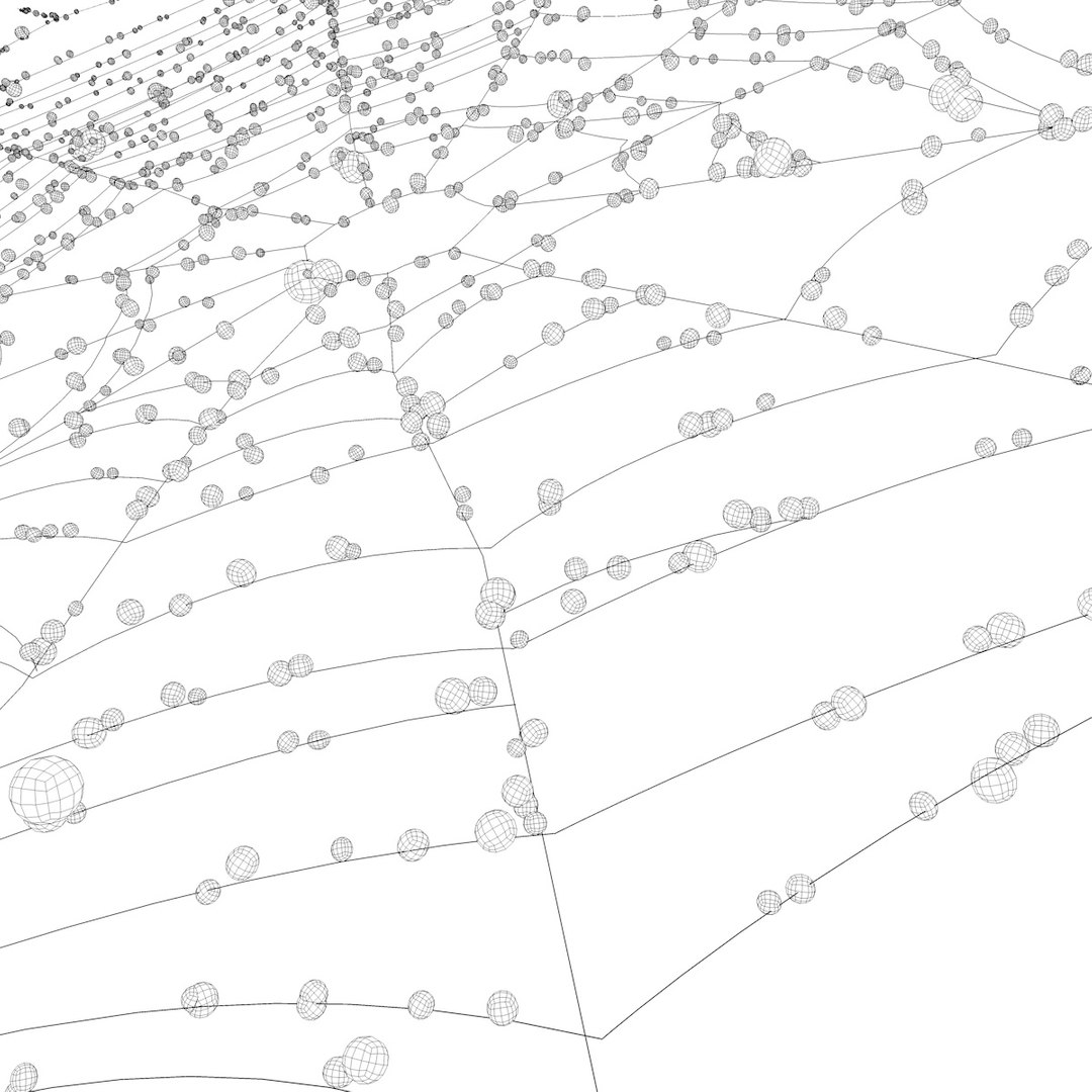 3d Modeled Cobweb Model