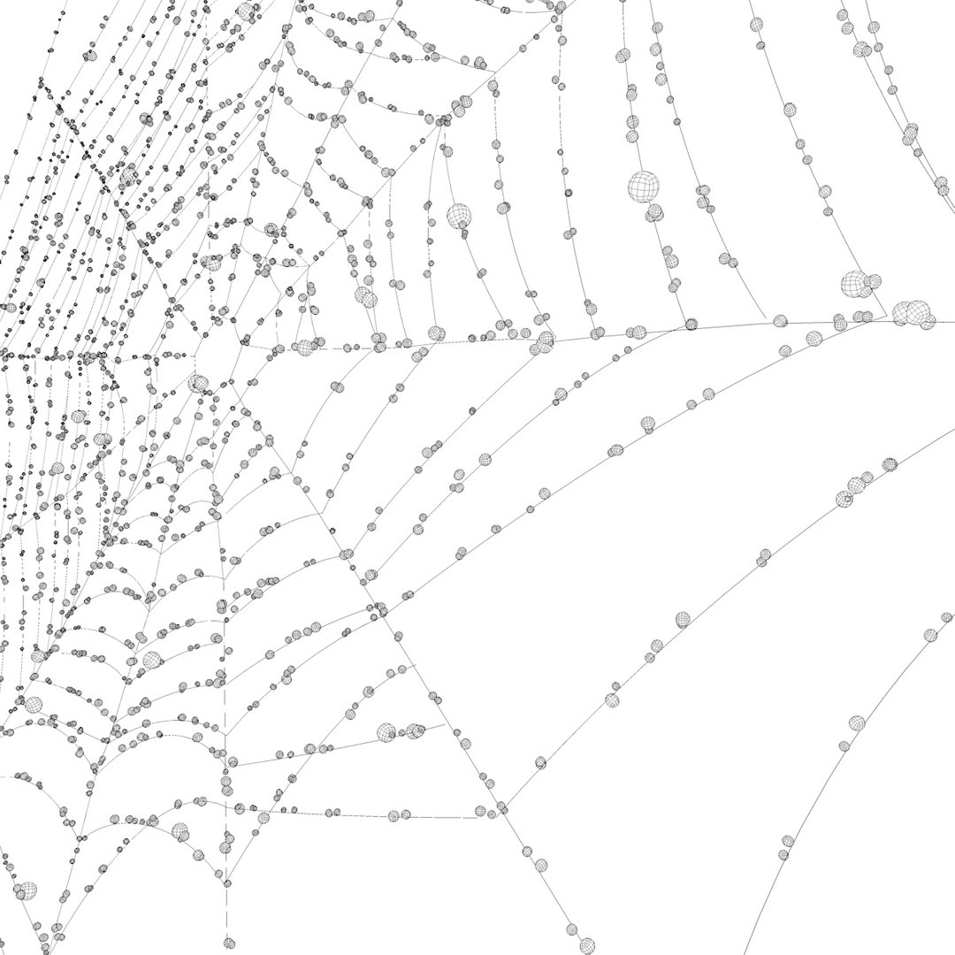 3d Modeled Cobweb Model
