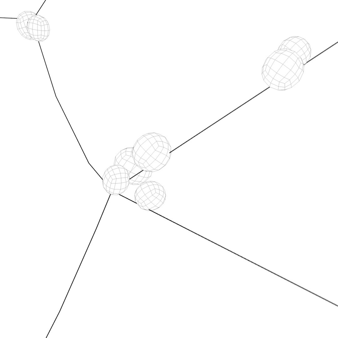 3d Modeled Cobweb Model