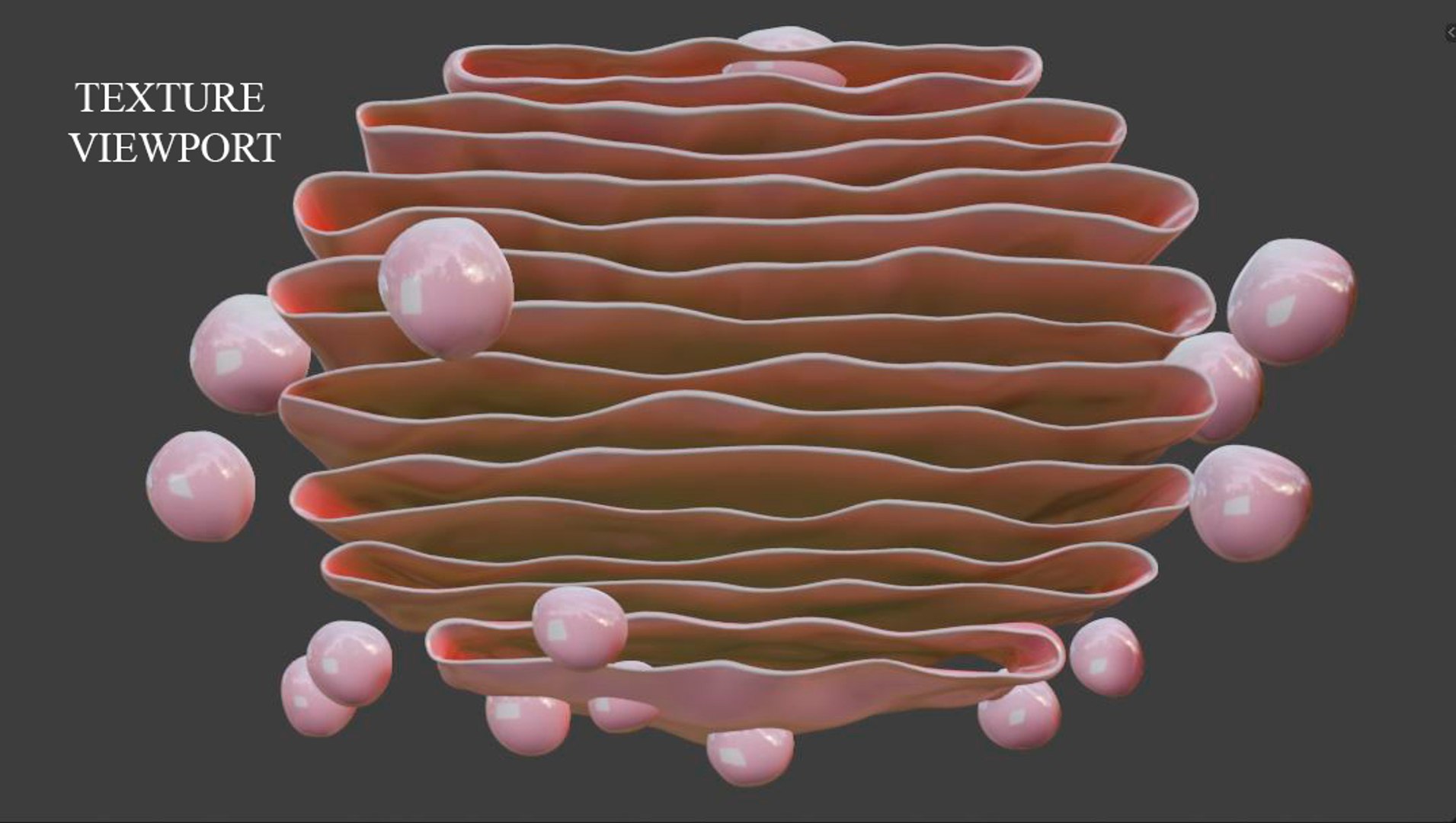 Cell Biology Model - TurboSquid 1462211