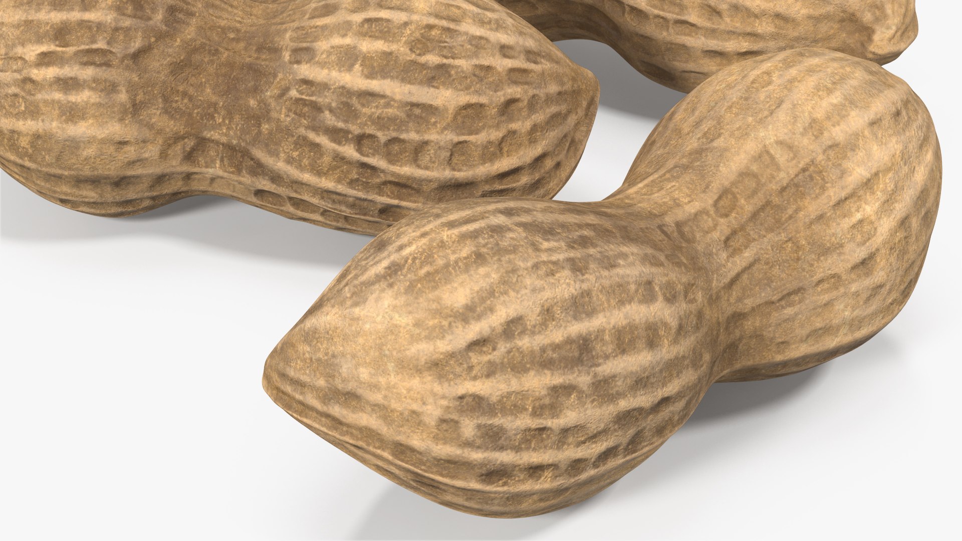 Peanut Nut Pea 3D Model - TurboSquid 1418163