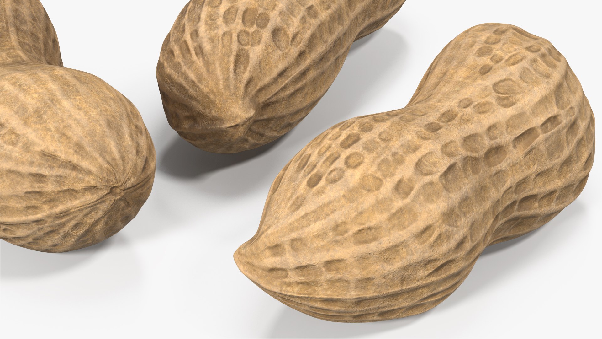 Peanut Nut Pea 3D Model - TurboSquid 1418163