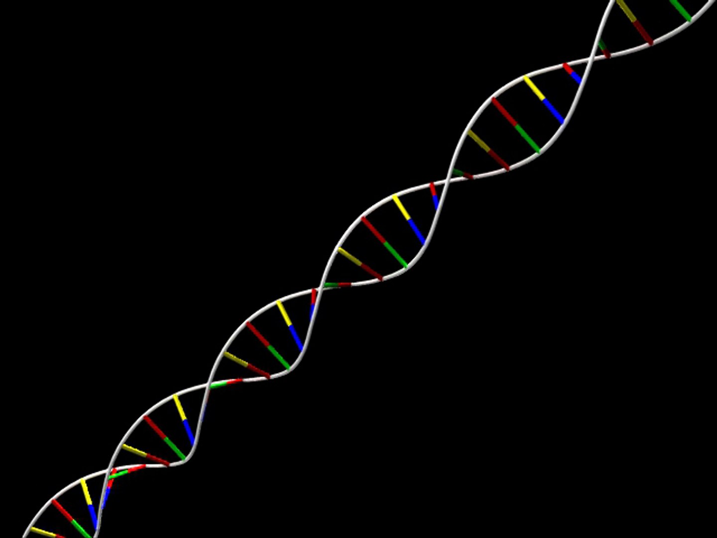 Dna Double Helix Strand 3d Dxf