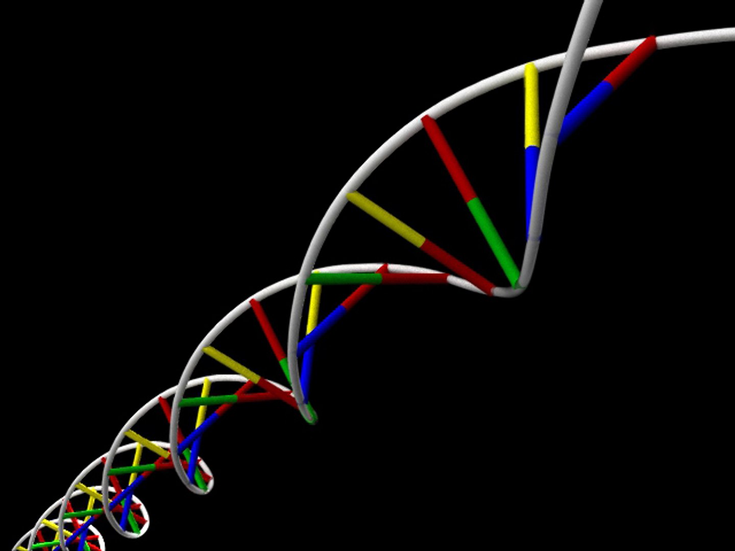 Dna Double Helix Strand 3d Dxf