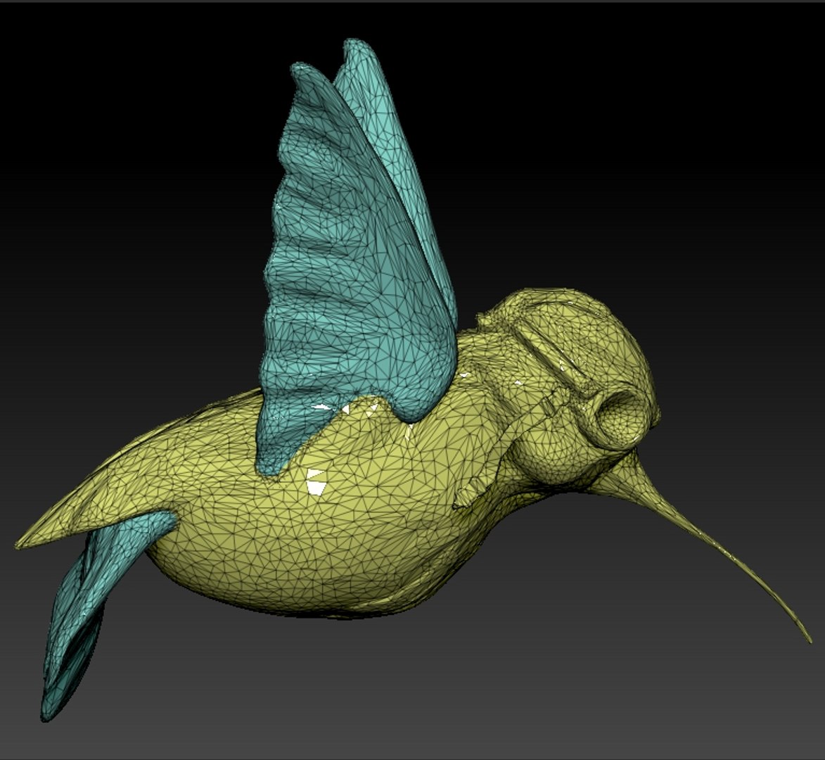 3d Model Hummingbird