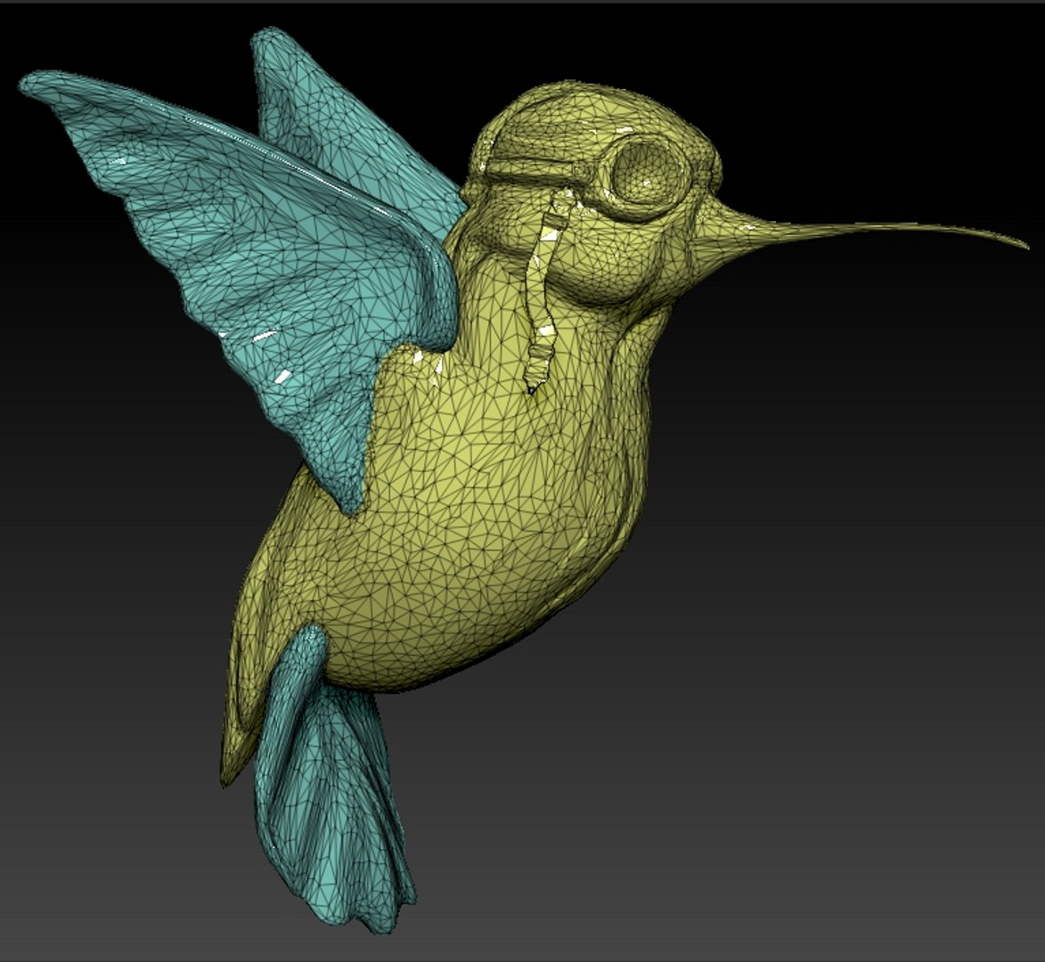 3d Model Hummingbird
