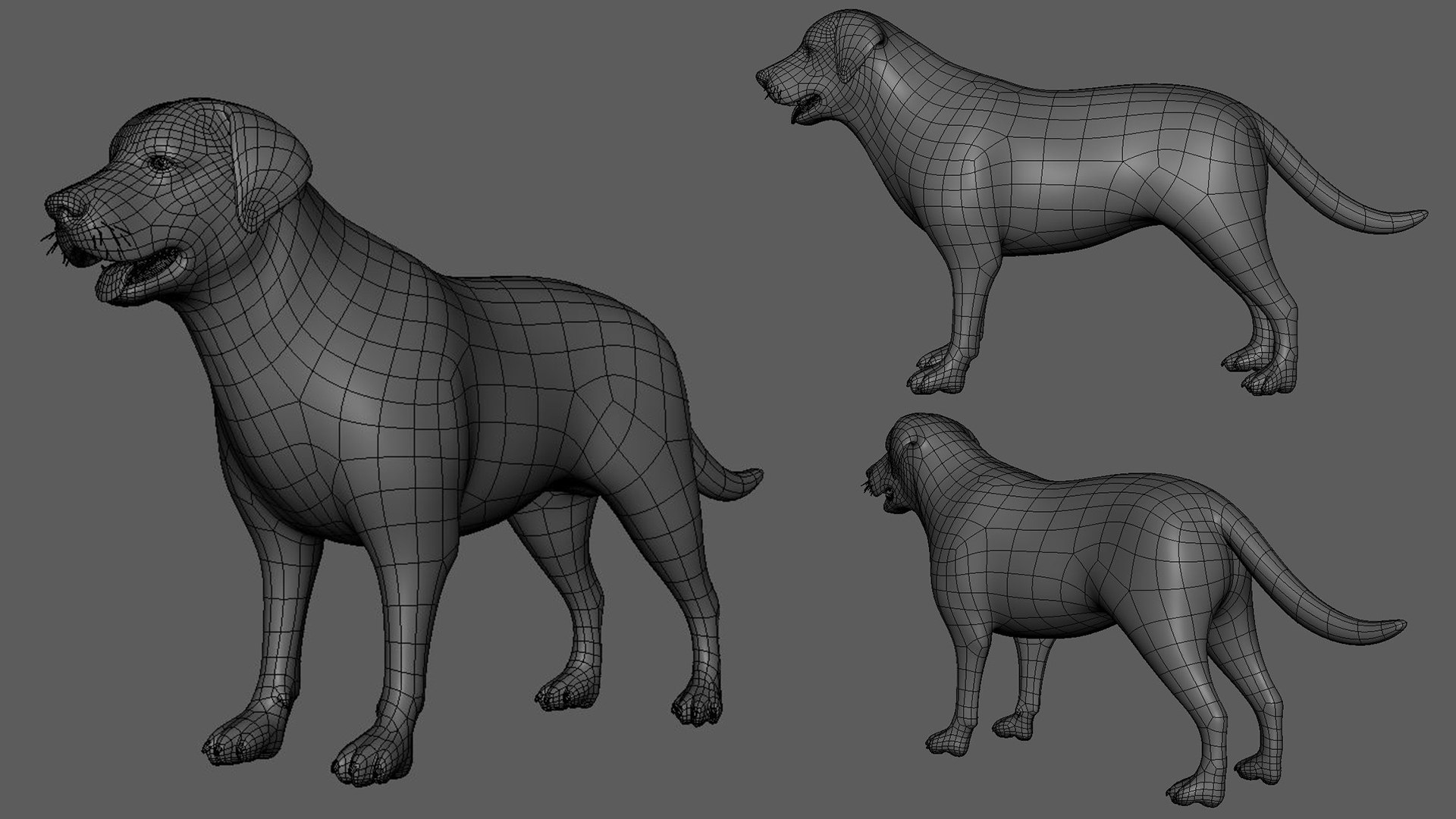 3D Labrador Dog 2 - TurboSquid 2096617