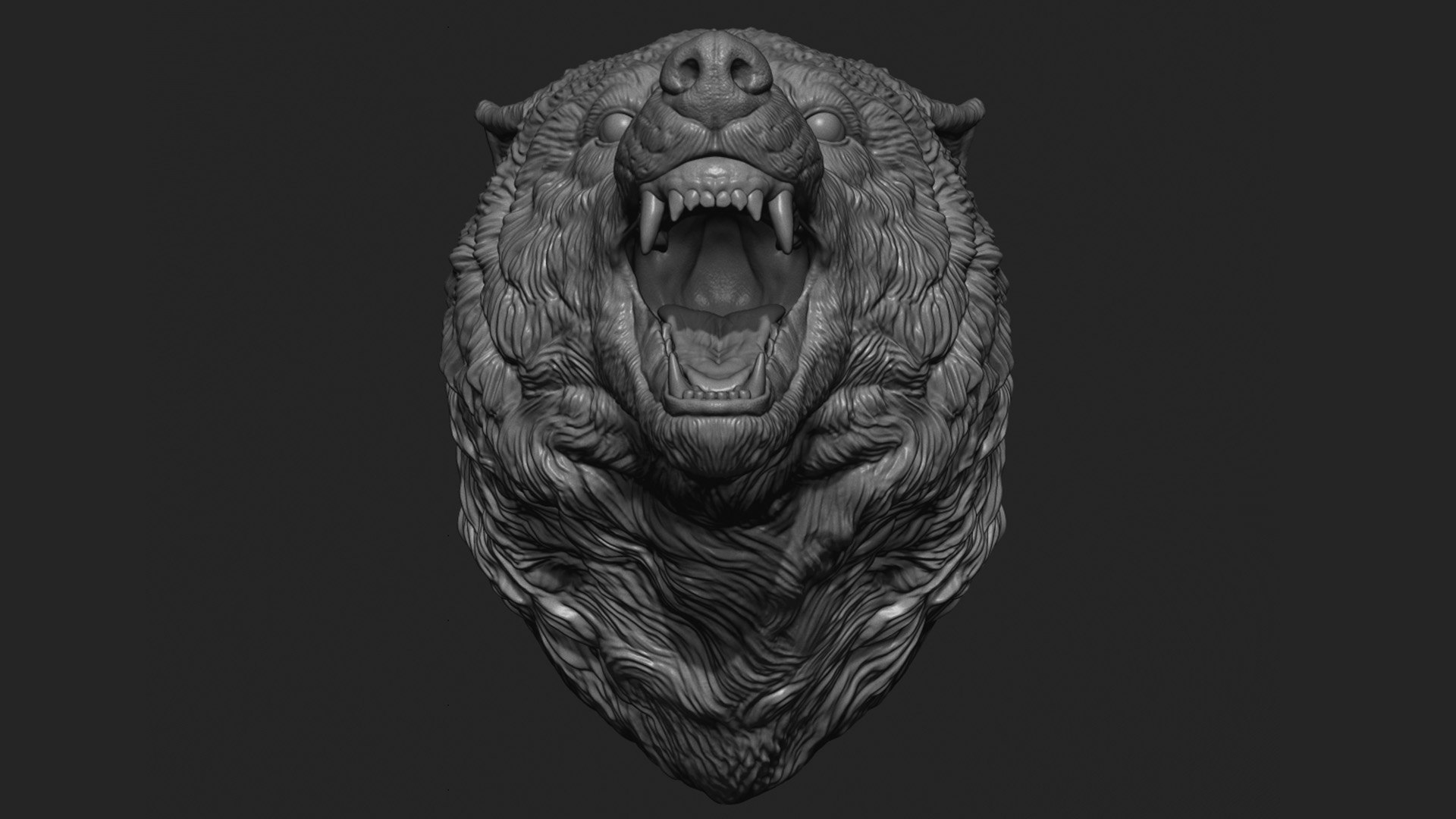 3D Model Wolf Face Head - TurboSquid 1765578