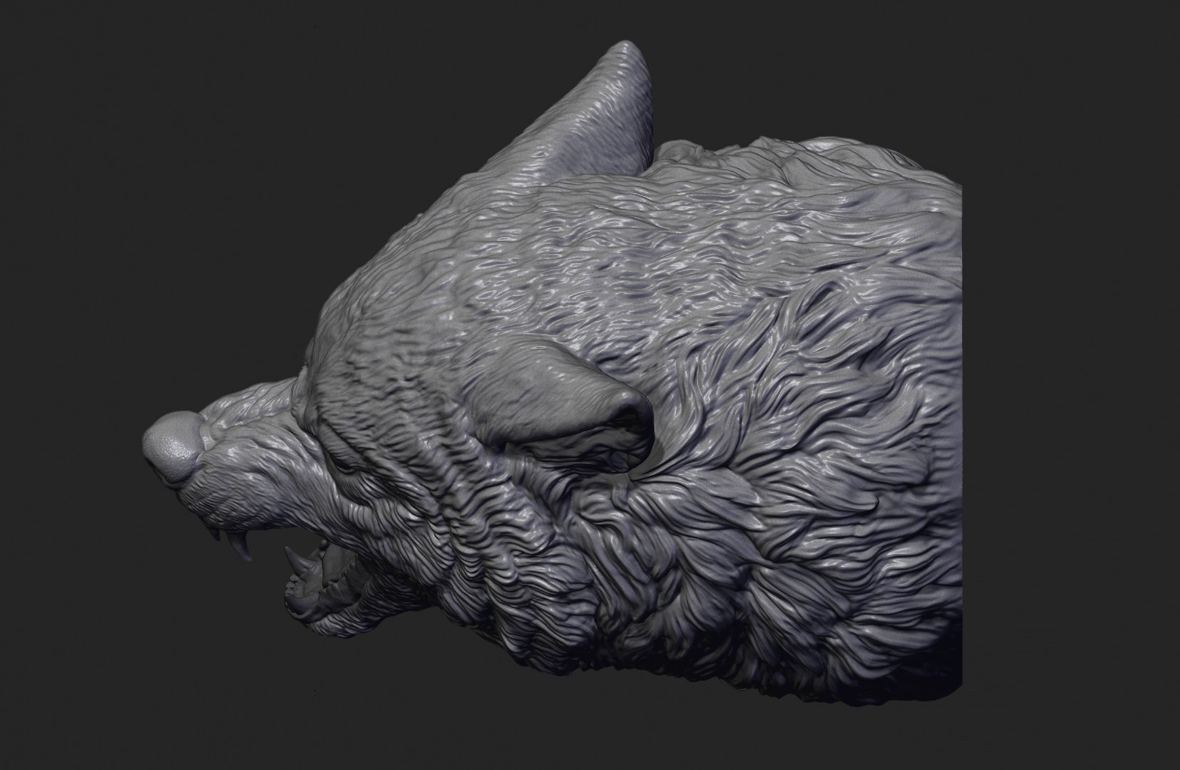 3D Model Wolf Face Head - TurboSquid 1765578