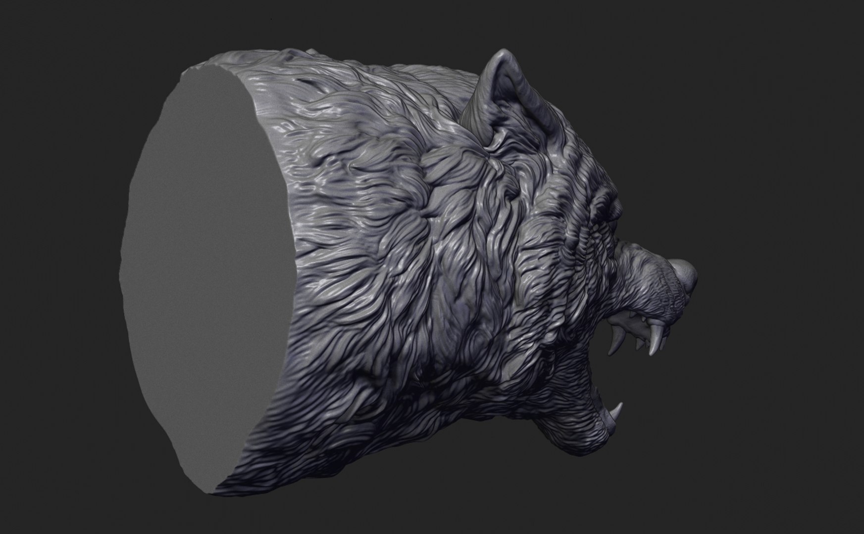 3D Model Wolf Face Head - TurboSquid 1765578
