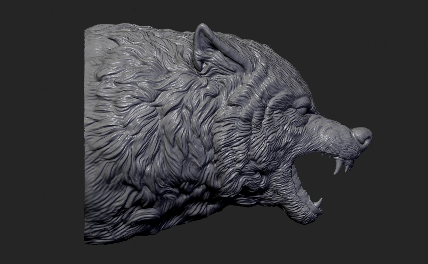 3D Model Wolf Face Head - TurboSquid 1765578