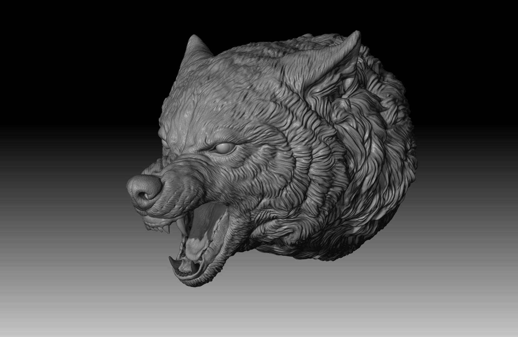 3D Model Wolf Face Head - TurboSquid 1765578