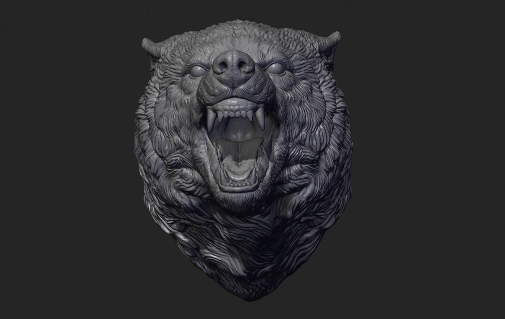 3D Model Wolf Face Head - TurboSquid 1765578