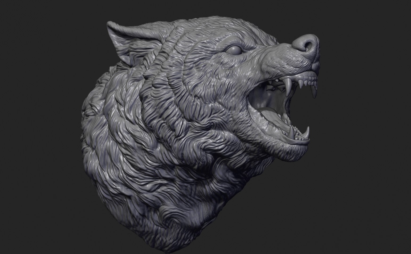 3D Model Wolf Face Head - TurboSquid 1765578
