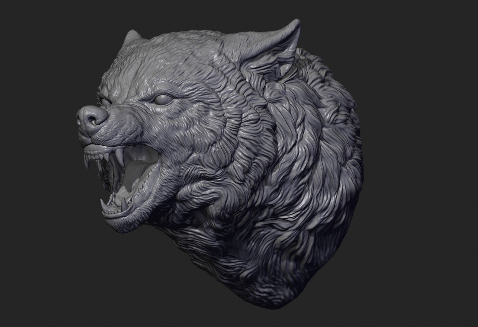 3D model Wolf face head - TurboSquid 1765578