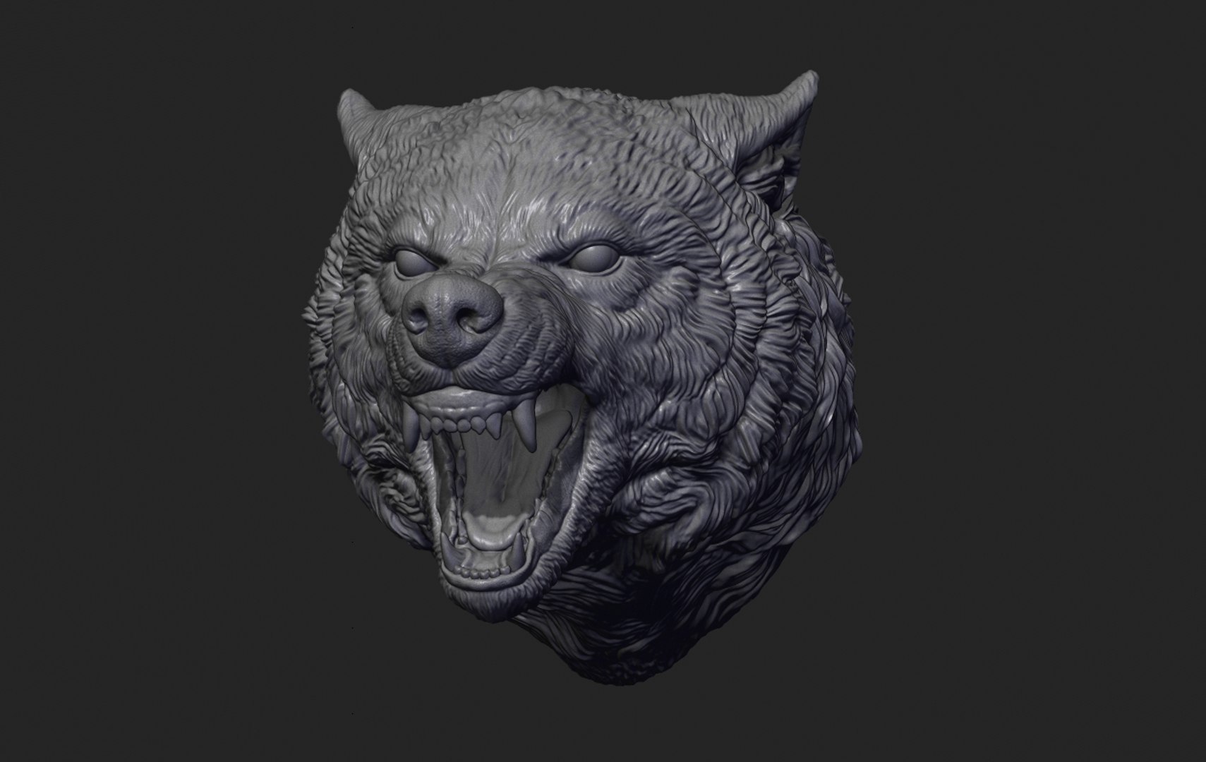3D Model Wolf Face Head - TurboSquid 1765578