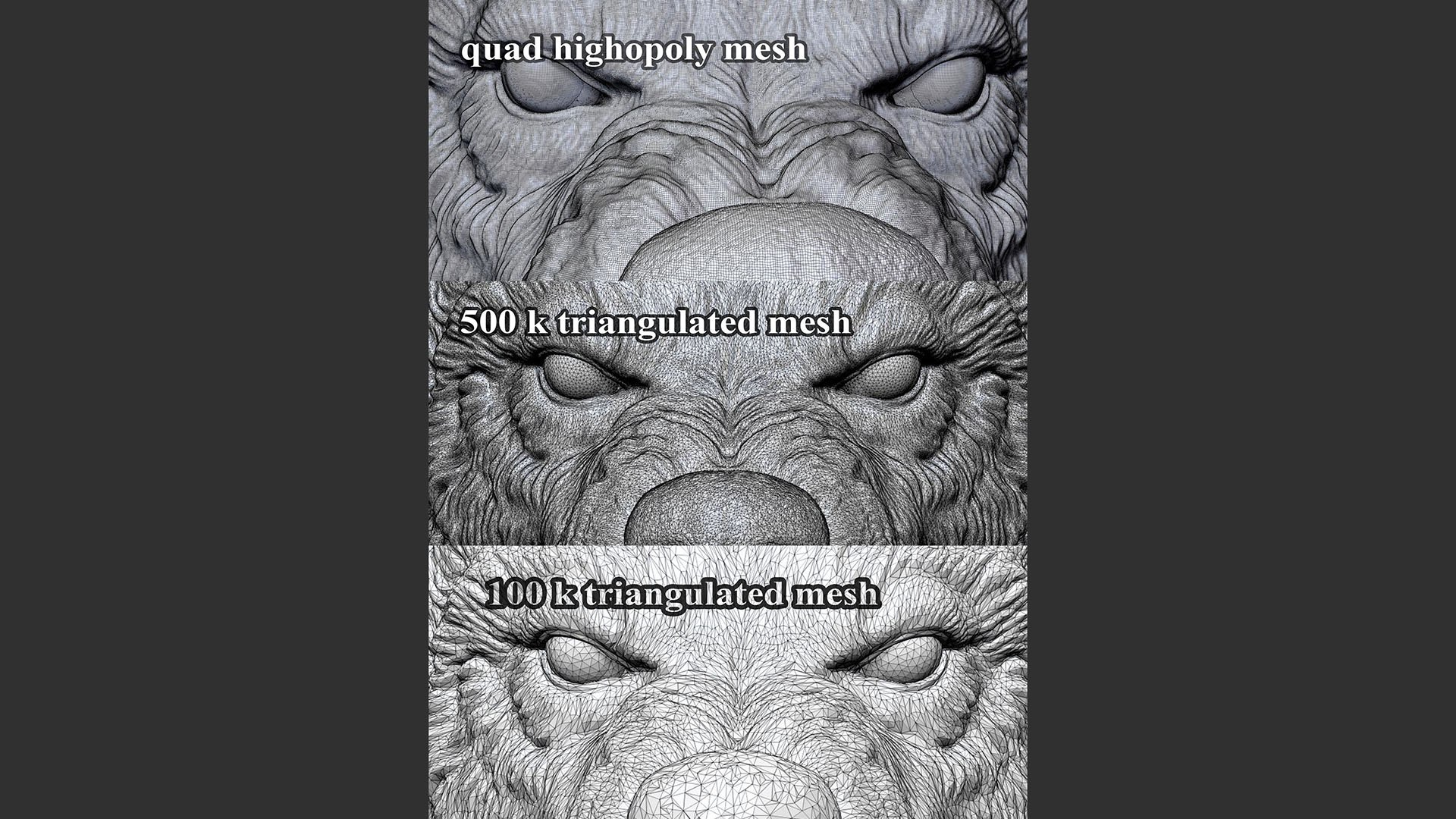 3D Model Wolf Face Head - TurboSquid 1765578