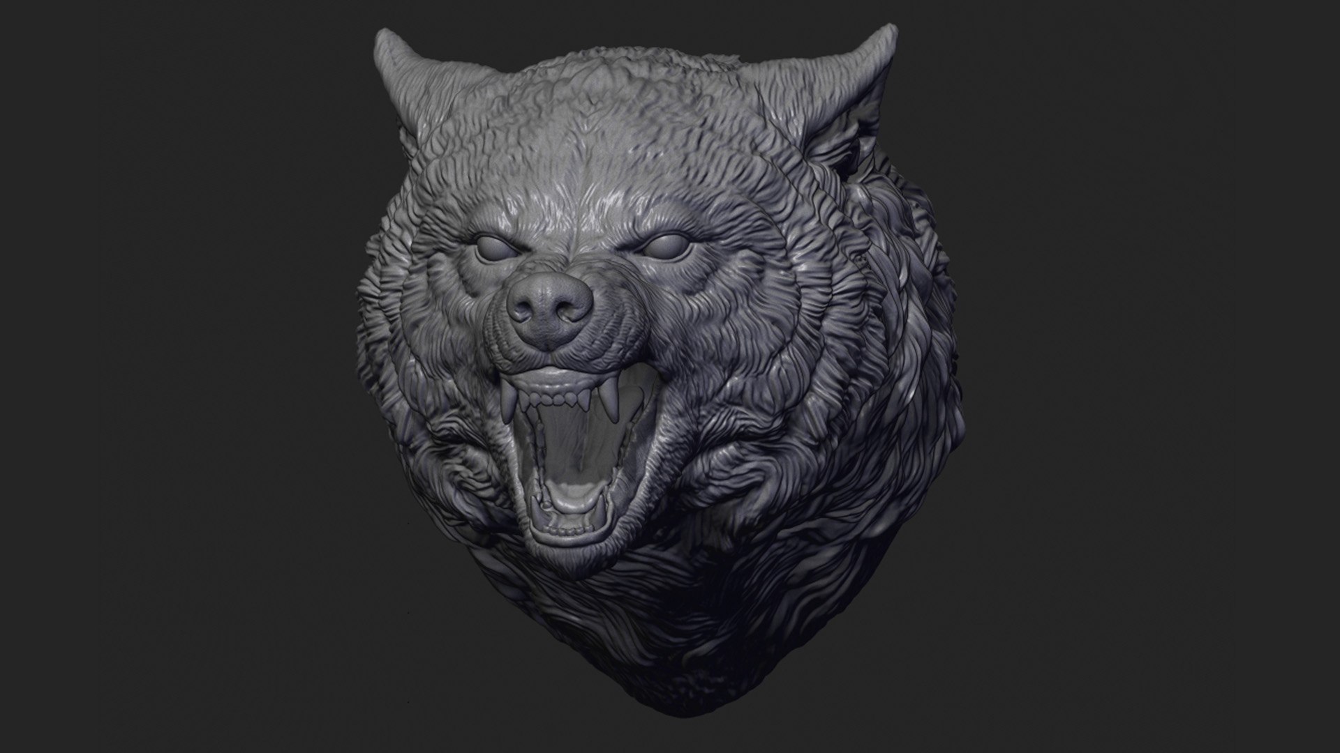 3D Model Wolf Face Head - TurboSquid 1765578