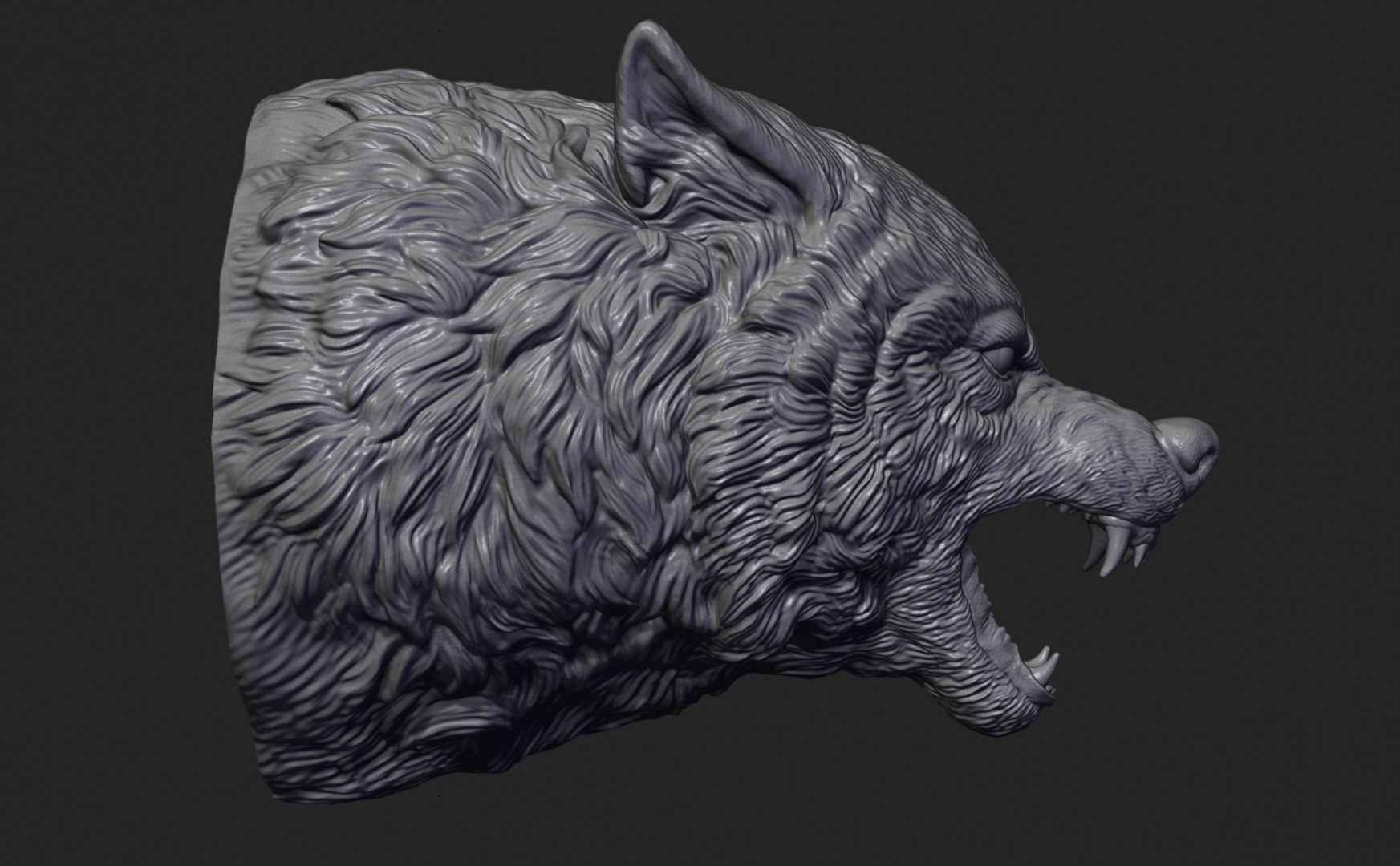 3D Model Wolf Face Head - TurboSquid 1765578