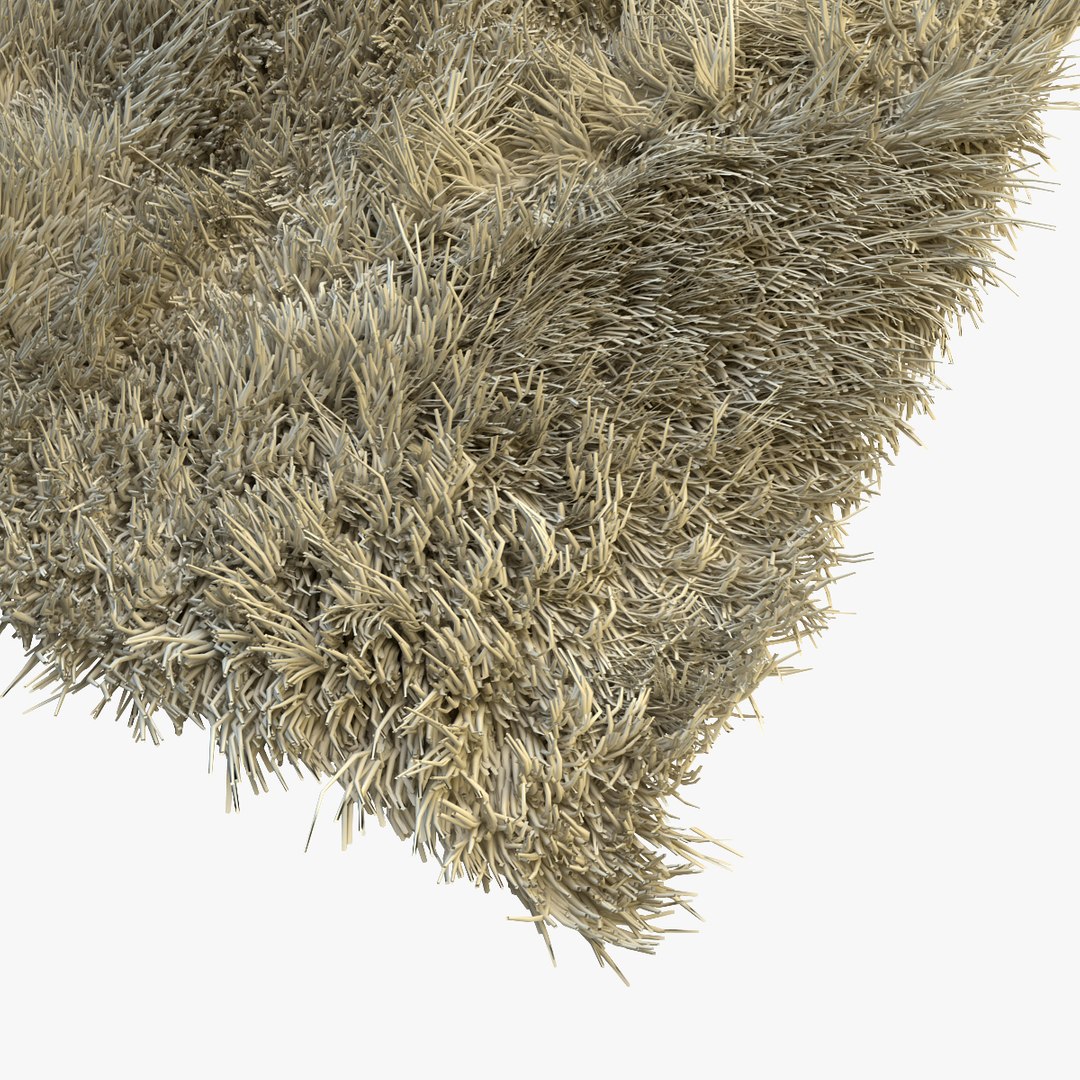 3d Model Of Fluffy Fur Carpet