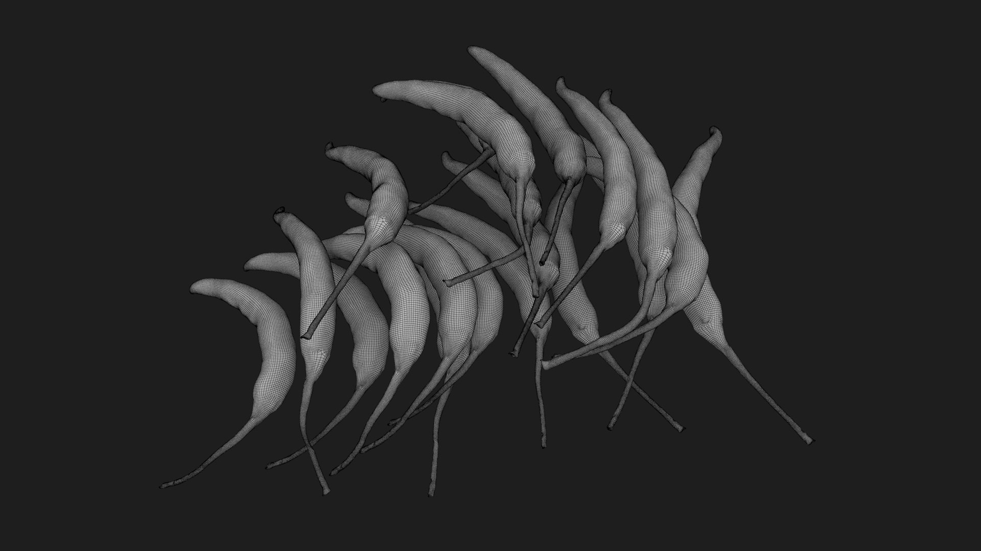 3D Chili Pepper Bunch Model - TurboSquid 2398083