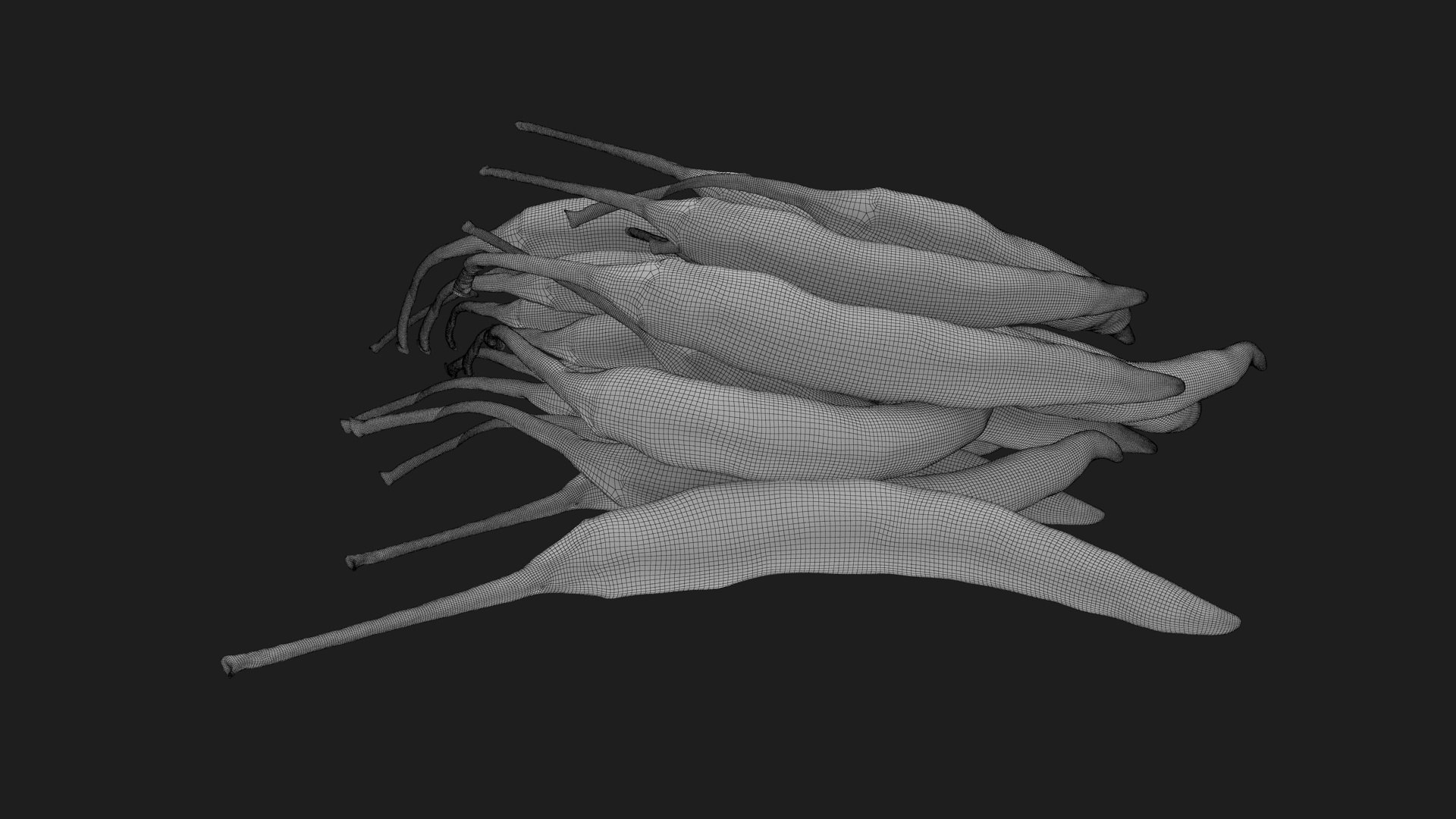 3D Chili Pepper Bunch Model - TurboSquid 2398083