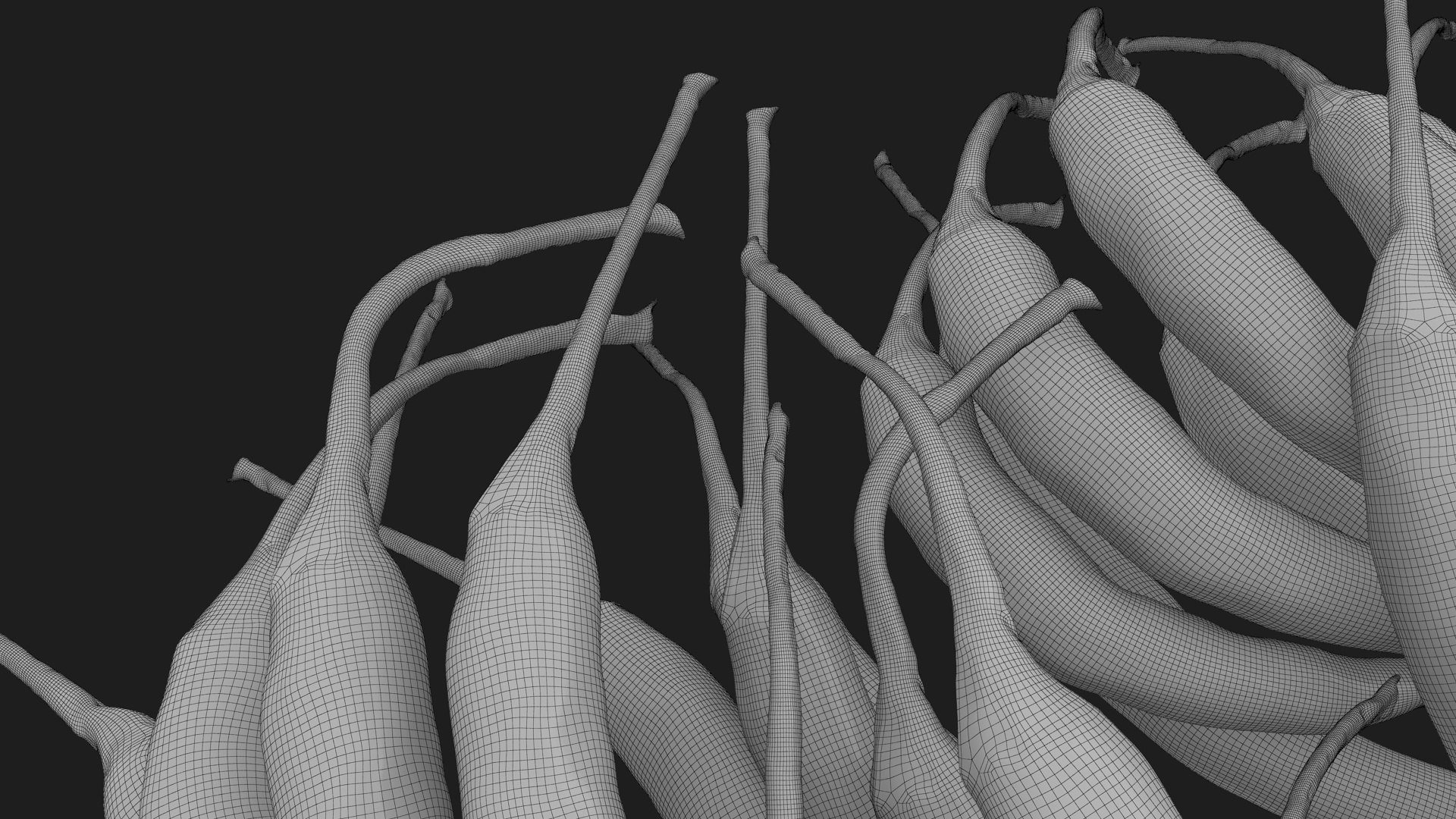 3D Chili Pepper Bunch Model - TurboSquid 2398083