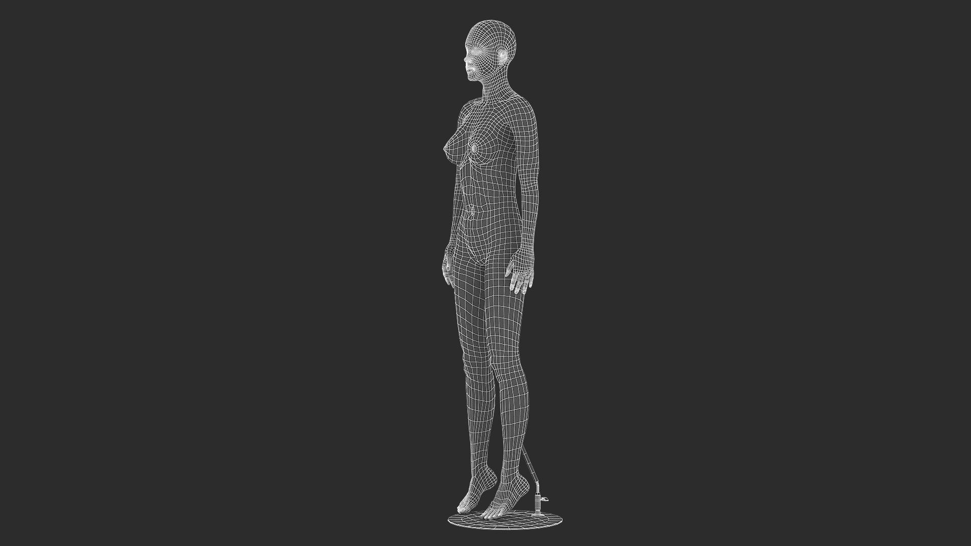 Female Mannequin Pose 0 3D Model - TurboSquid 2375615