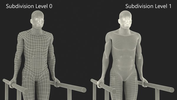 modelo 3d Anatomía del sistema muscular masculino, inmersión en el ...