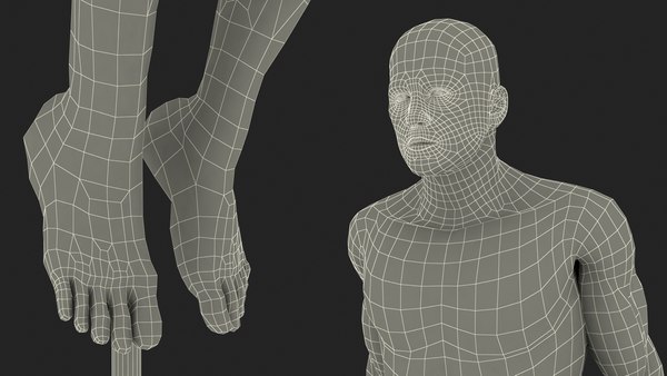 modelo 3d Anatomía del sistema muscular masculino, inmersión en el ...