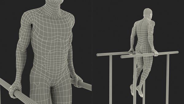 modelo 3d Anatomía del sistema muscular masculino, inmersión en el ...