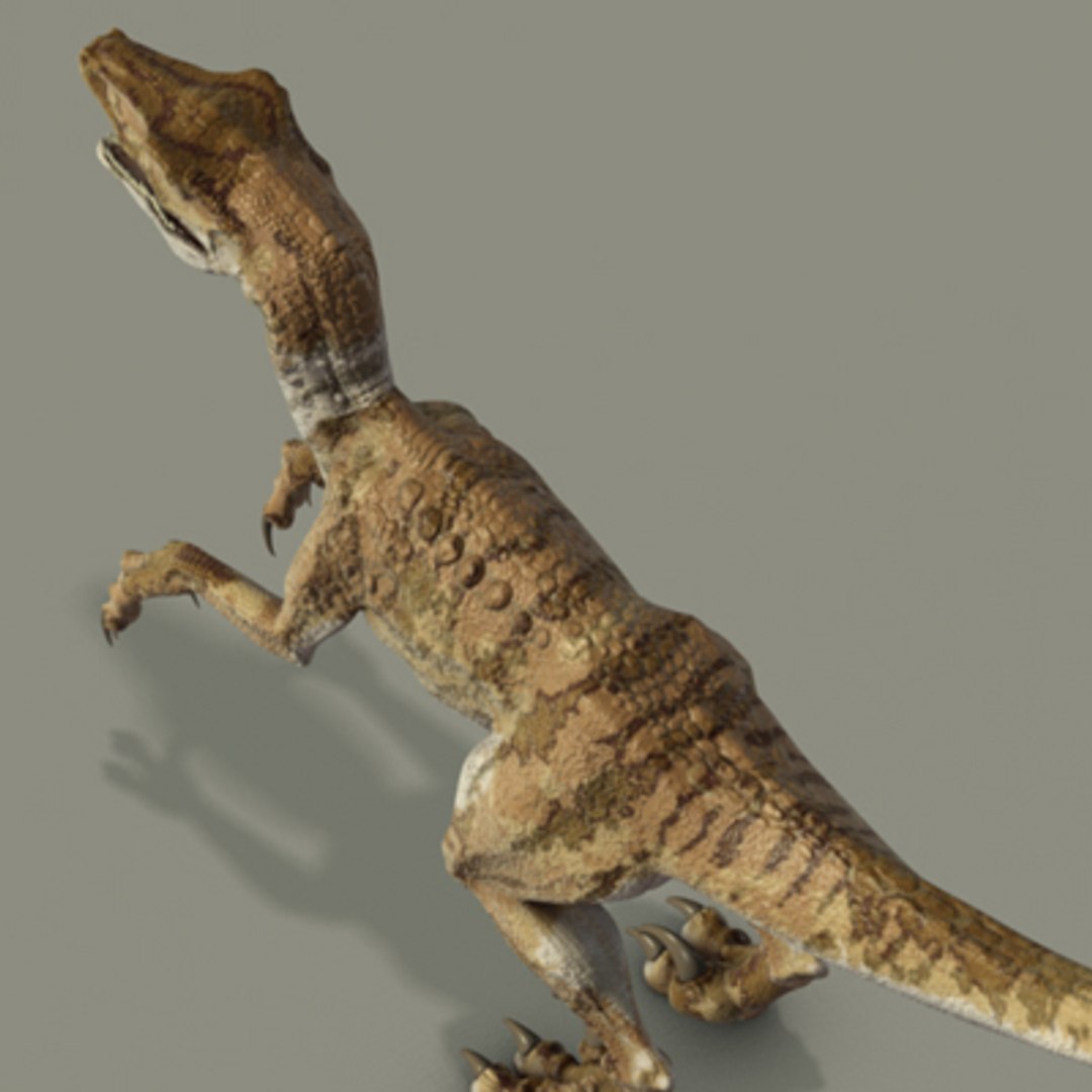 Velociraptor Dinosaur Project 3d X