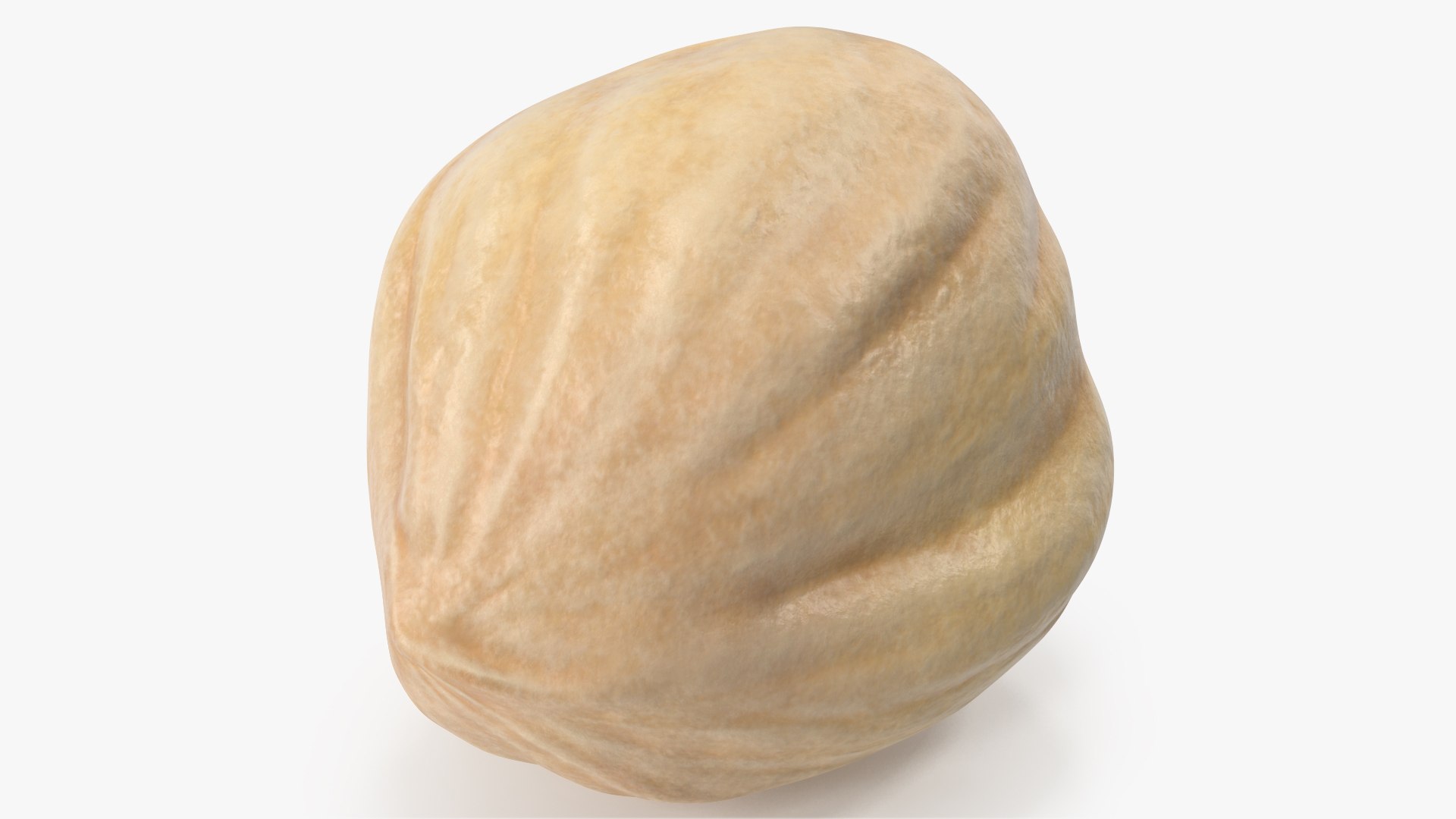 Hazelnut 2 3D Model - TurboSquid 1846600