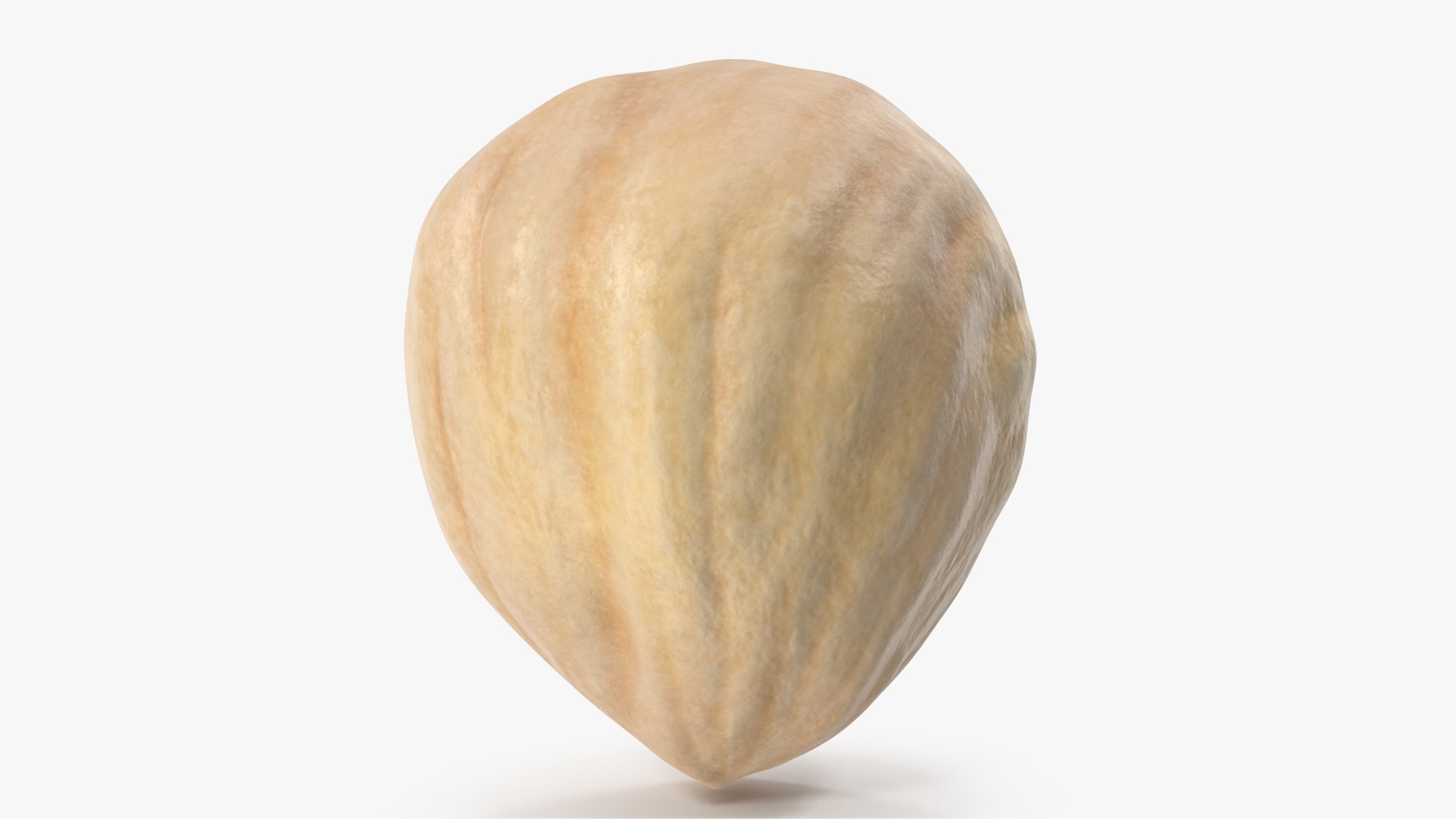 Hazelnut 2 3D Model - TurboSquid 1846600