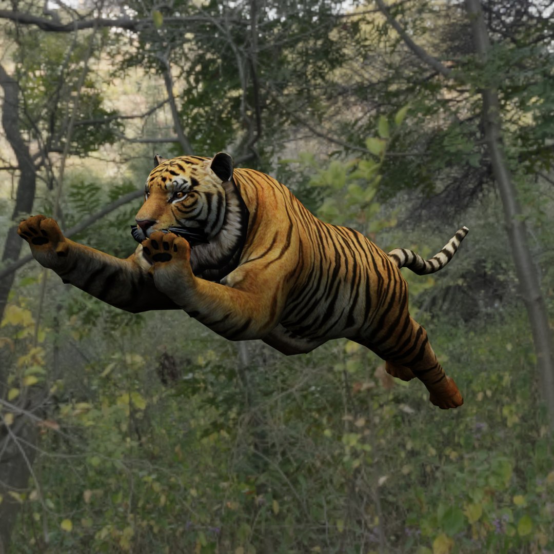 3D Bengal Tiger 3D model - TurboSquid 2059391