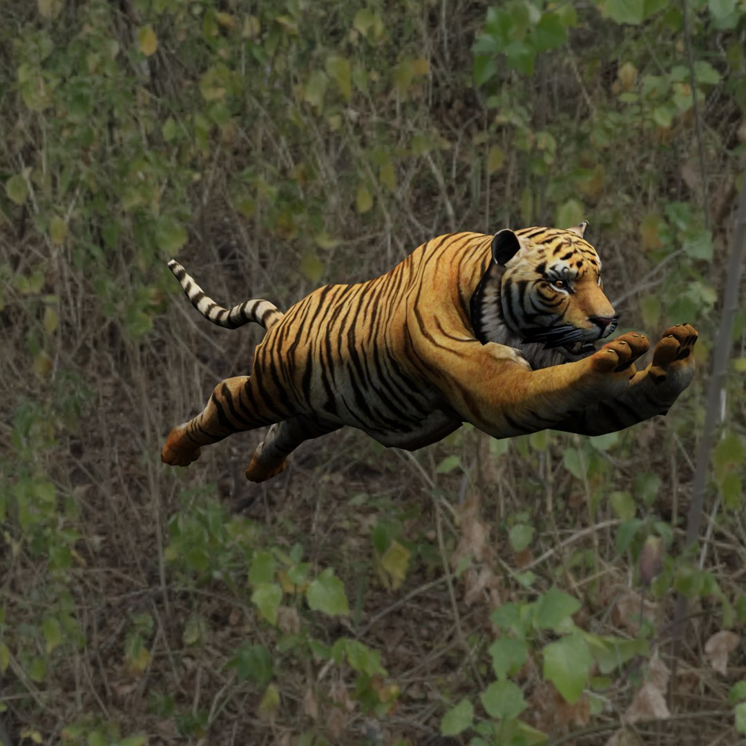 3D Bengal Tiger 3D model - TurboSquid 2059391