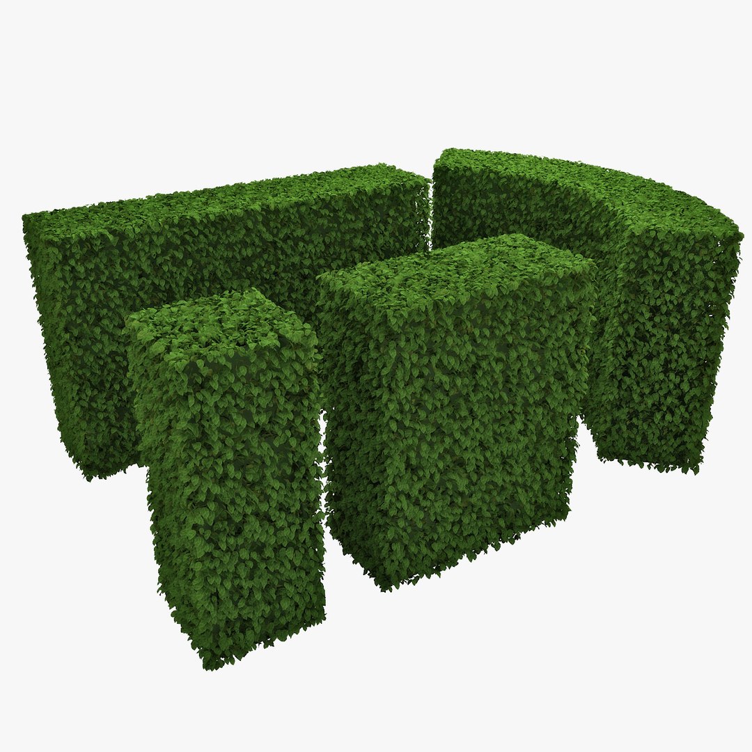3d Hedge Model